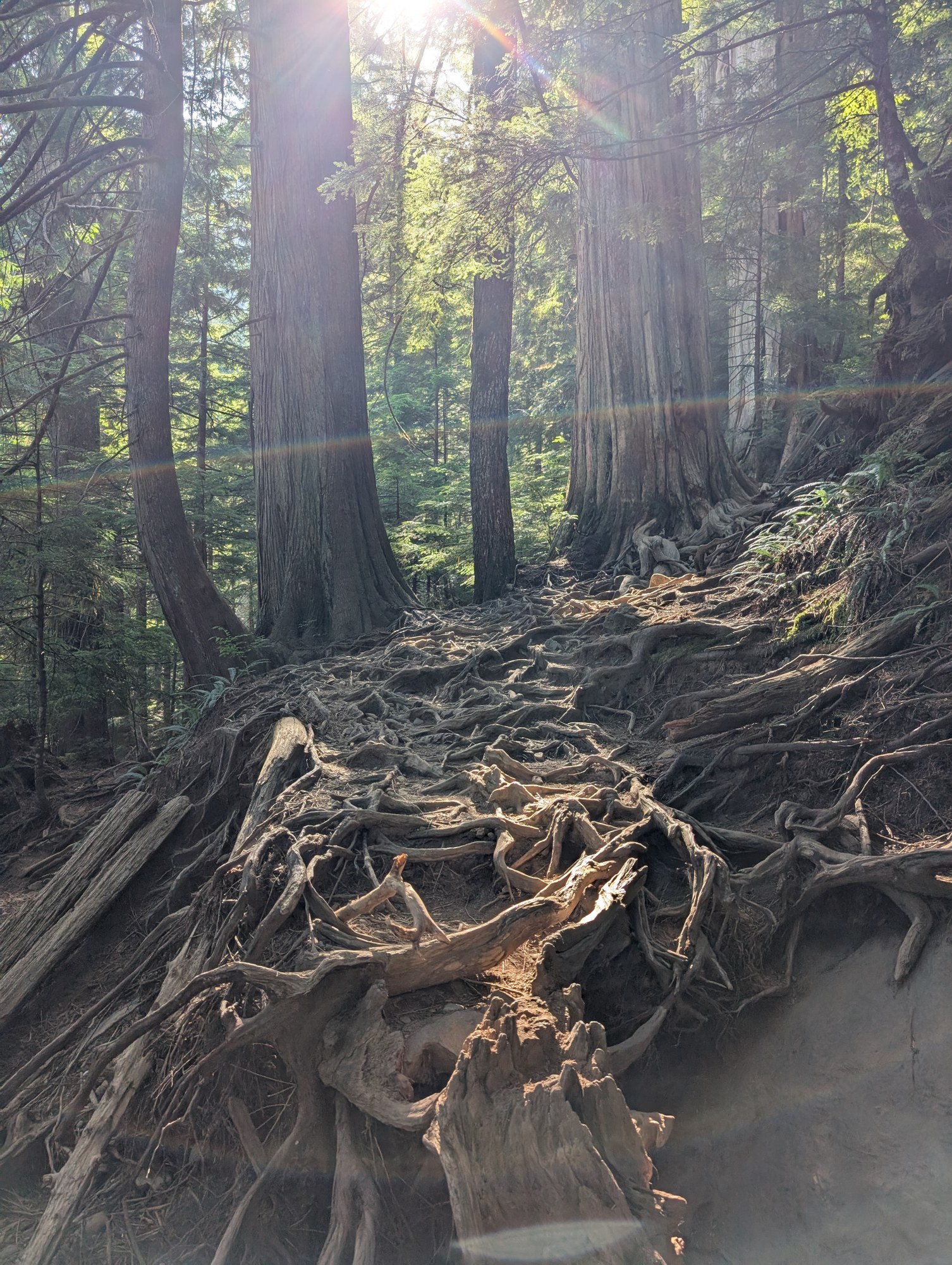 Heather Lake (Mountain Loop) — The Mountaineers