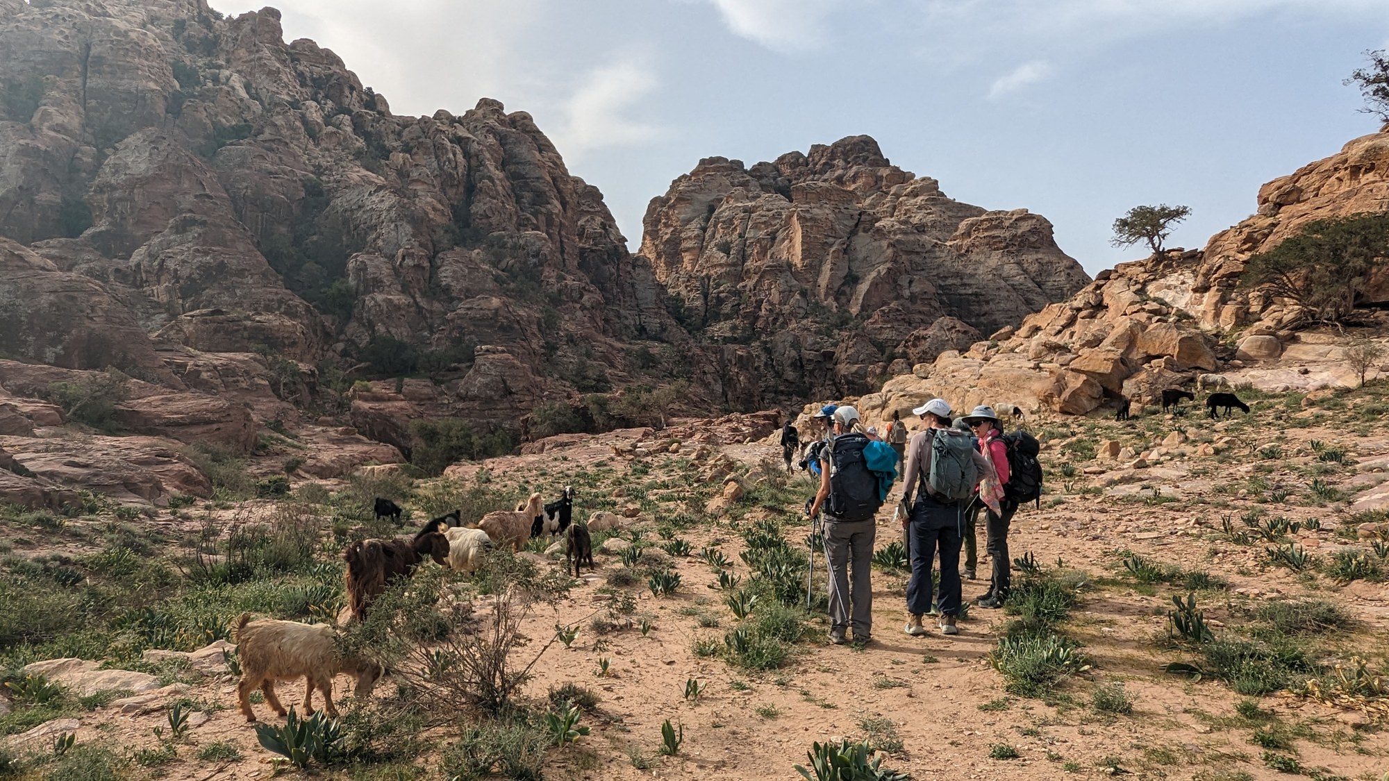 Hike the Jordan Trail to Petra and Beyond — The Mountaineers