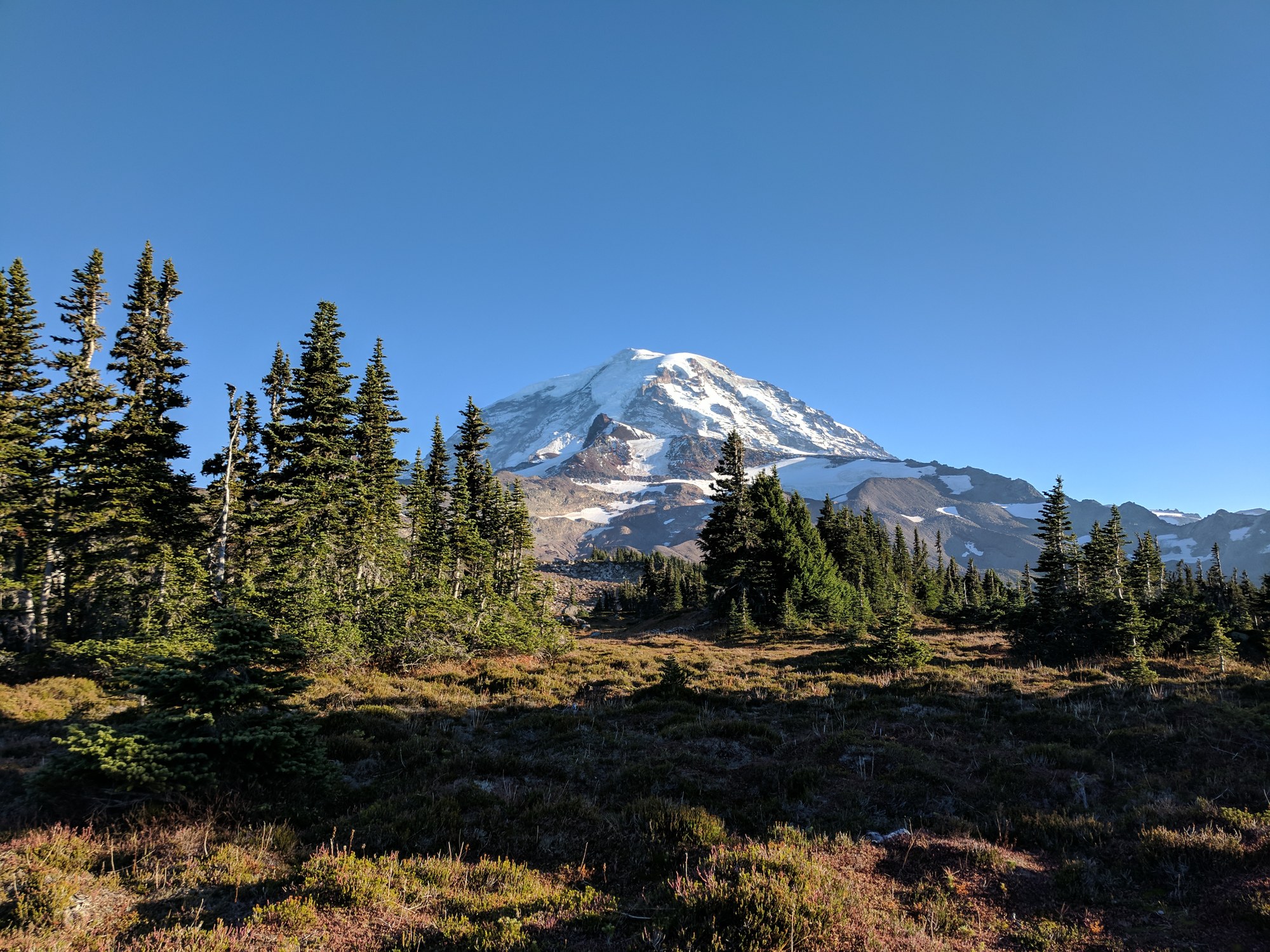 Intermediate Alpine Climb - Observation Rock/North Face — The Mountaineers