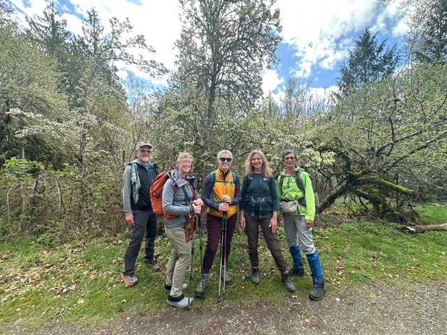 Licorice Fern Trail & Far Country Lookout & Falls — The Mountaineers