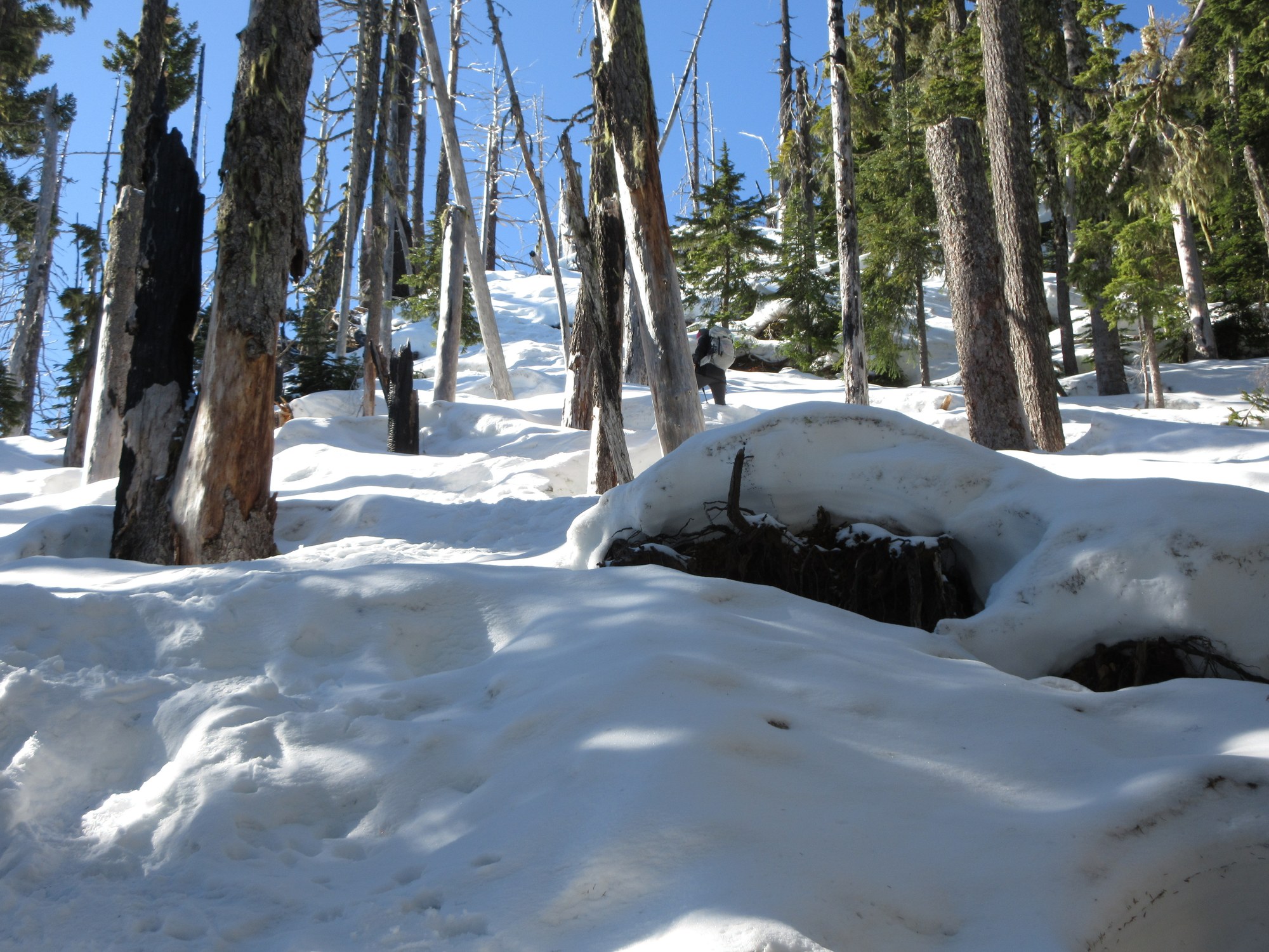 Mount Rose — The Mountaineers