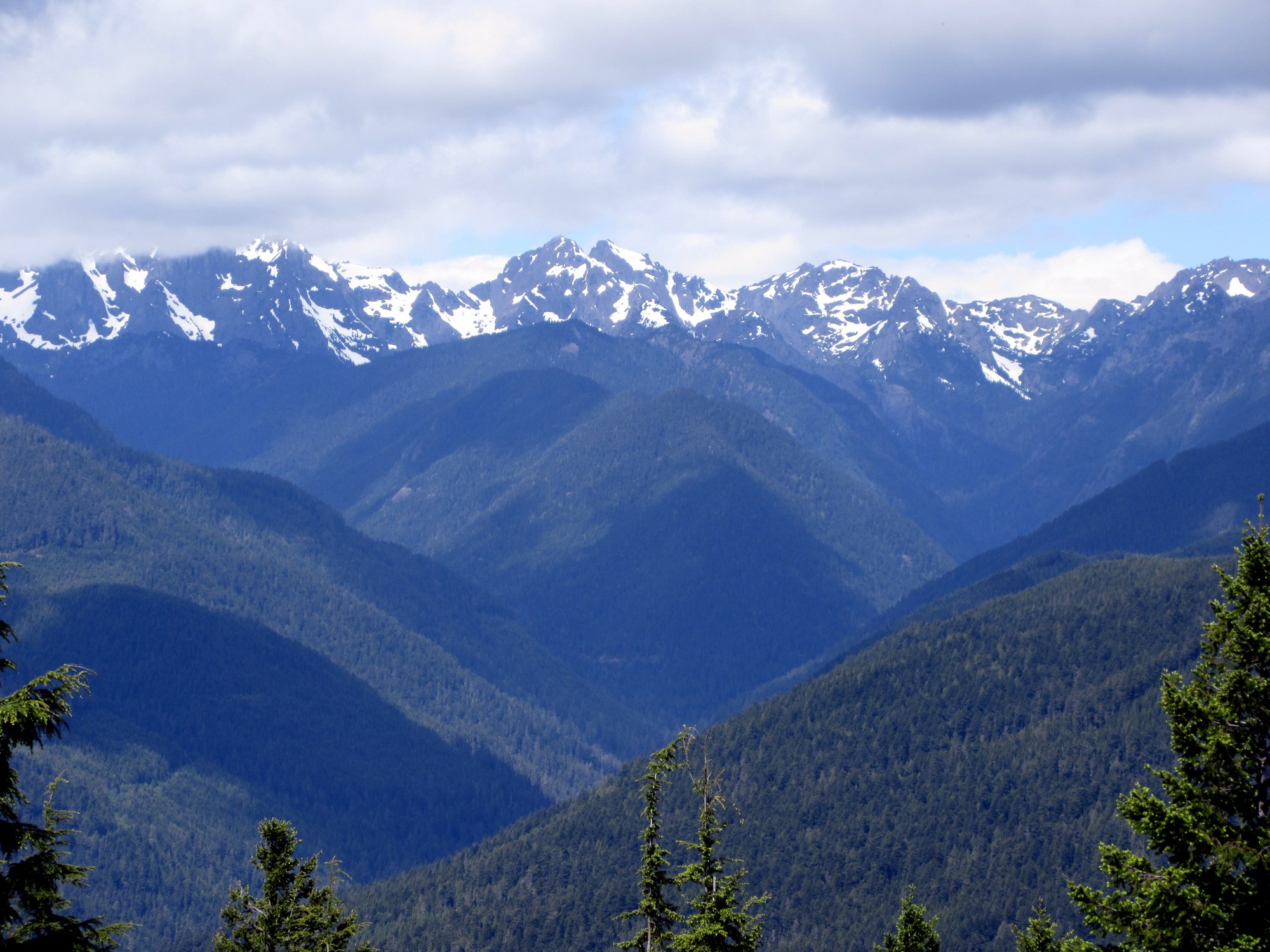 Mount Walker — The Mountaineers