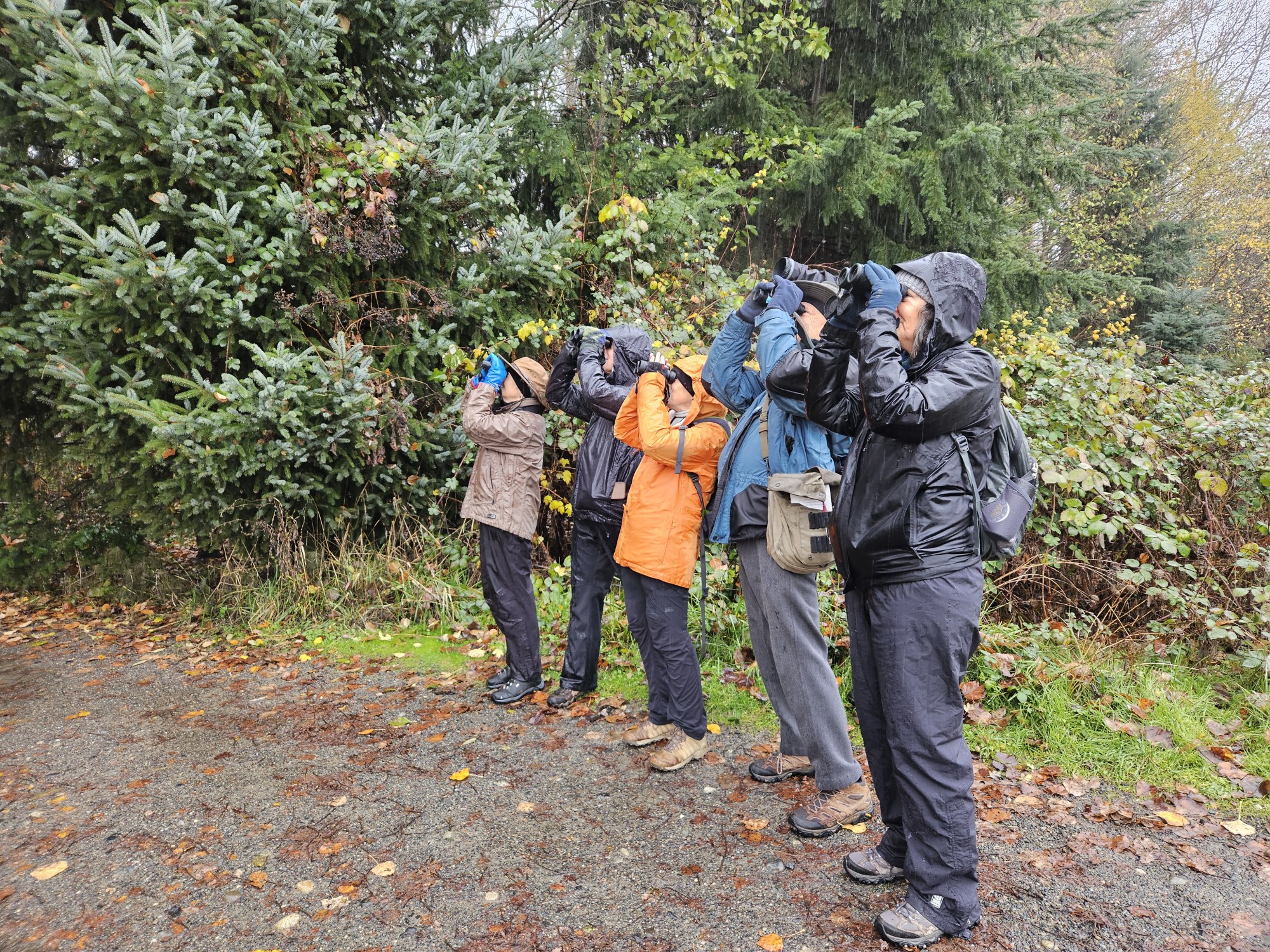 Naturalist Trip - Union Bay Natural Area & Yesler Swamp — The Mountaineers