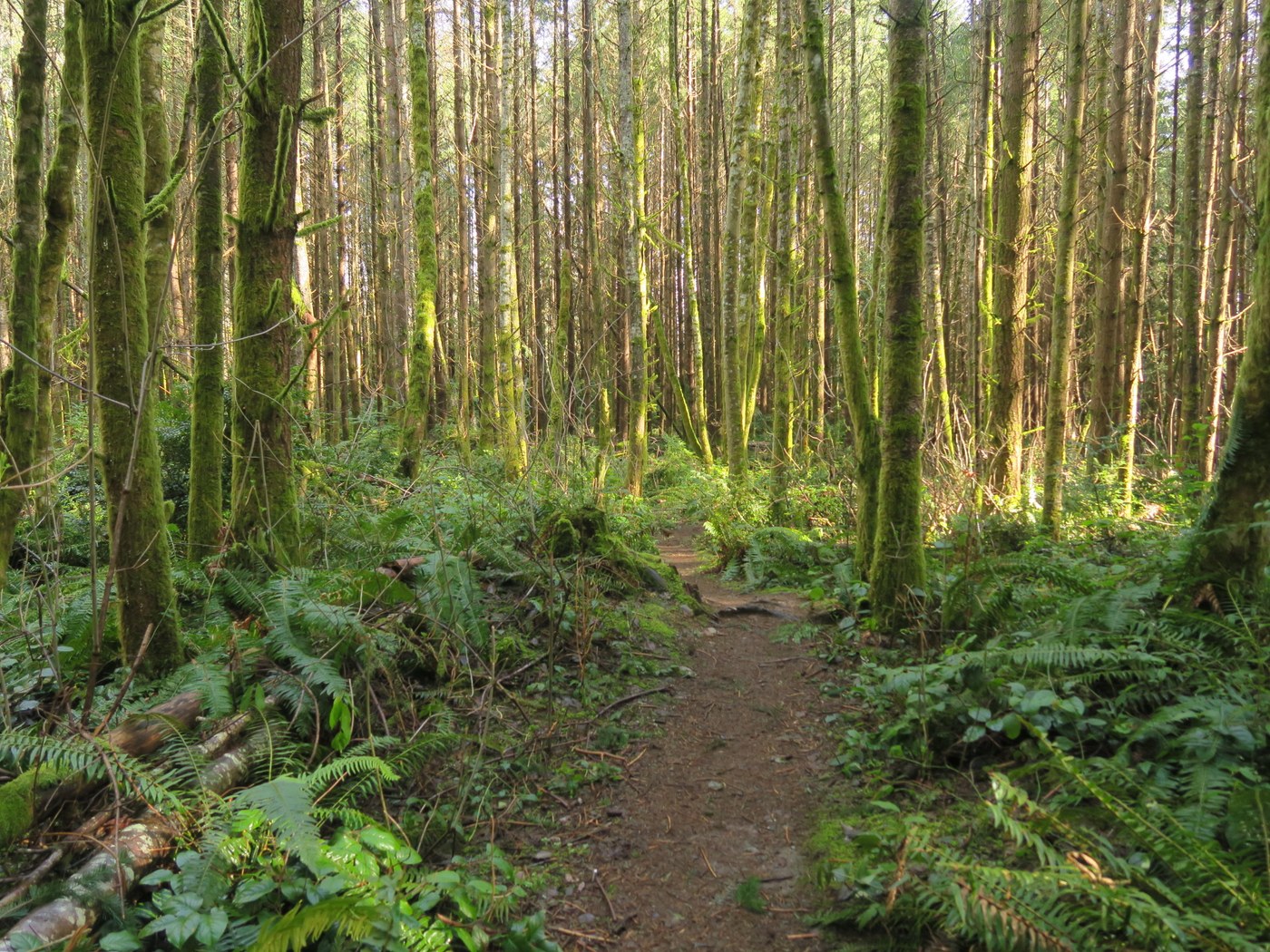 North Kitsap Heritage Park — The Mountaineers