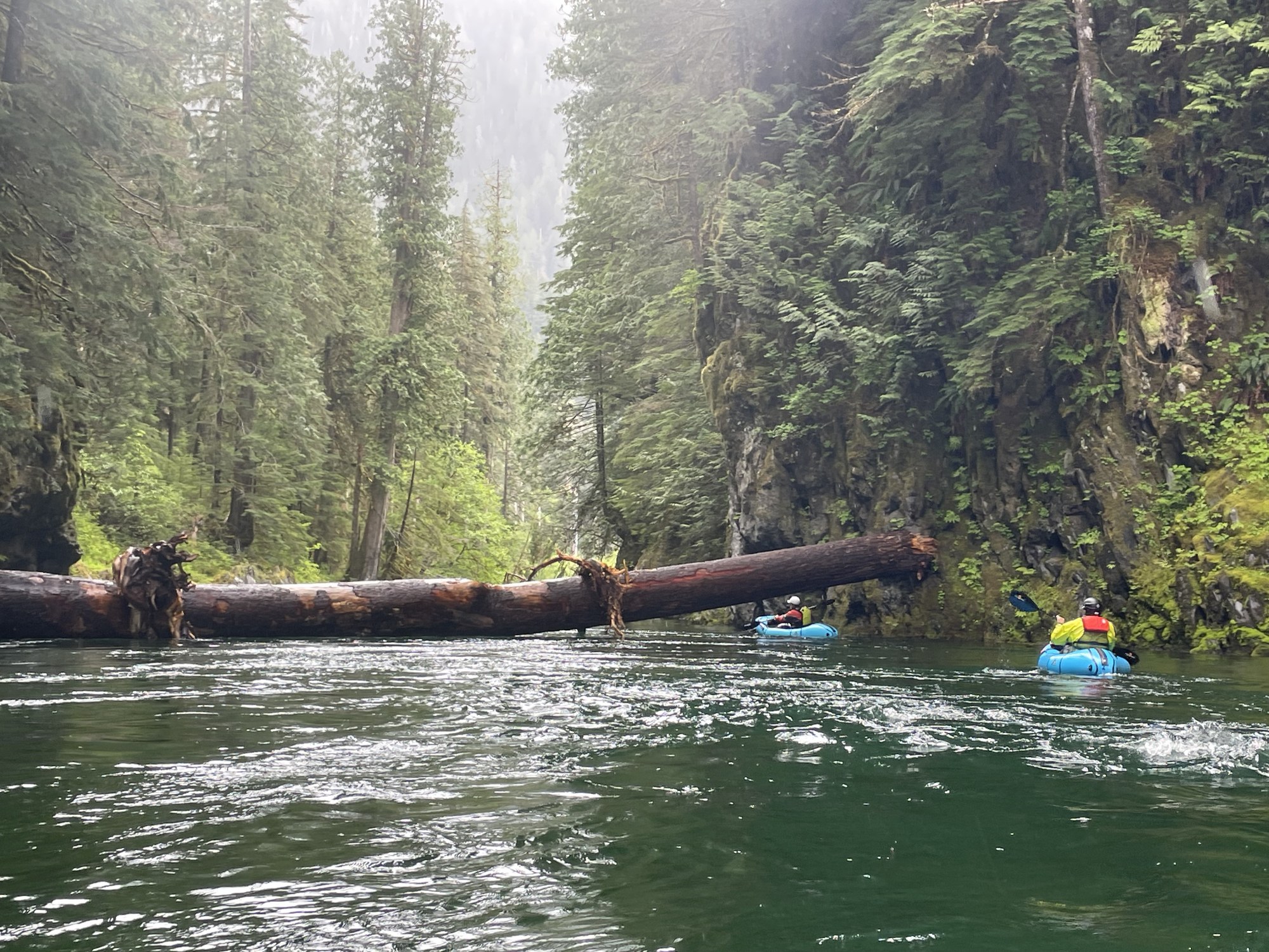 Quinault River (North Fork) — The Mountaineers