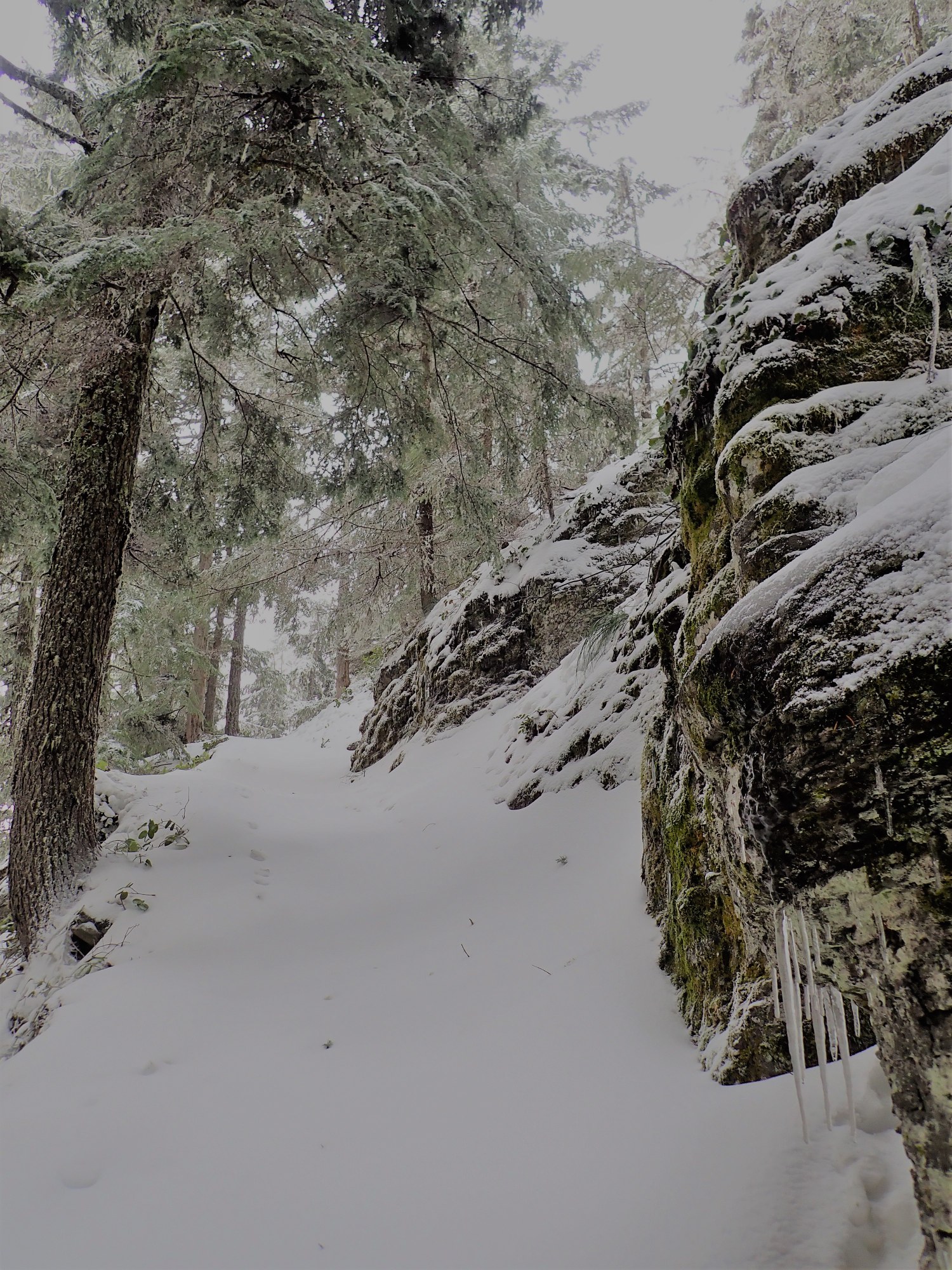 Rampart Ridge Loop — The Mountaineers