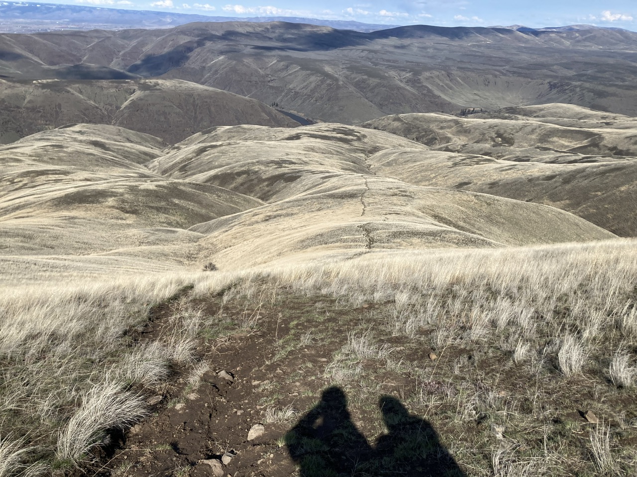 Road Trip & Hikes - Umtanum Ridge Vista Trail+ — The Mountaineers