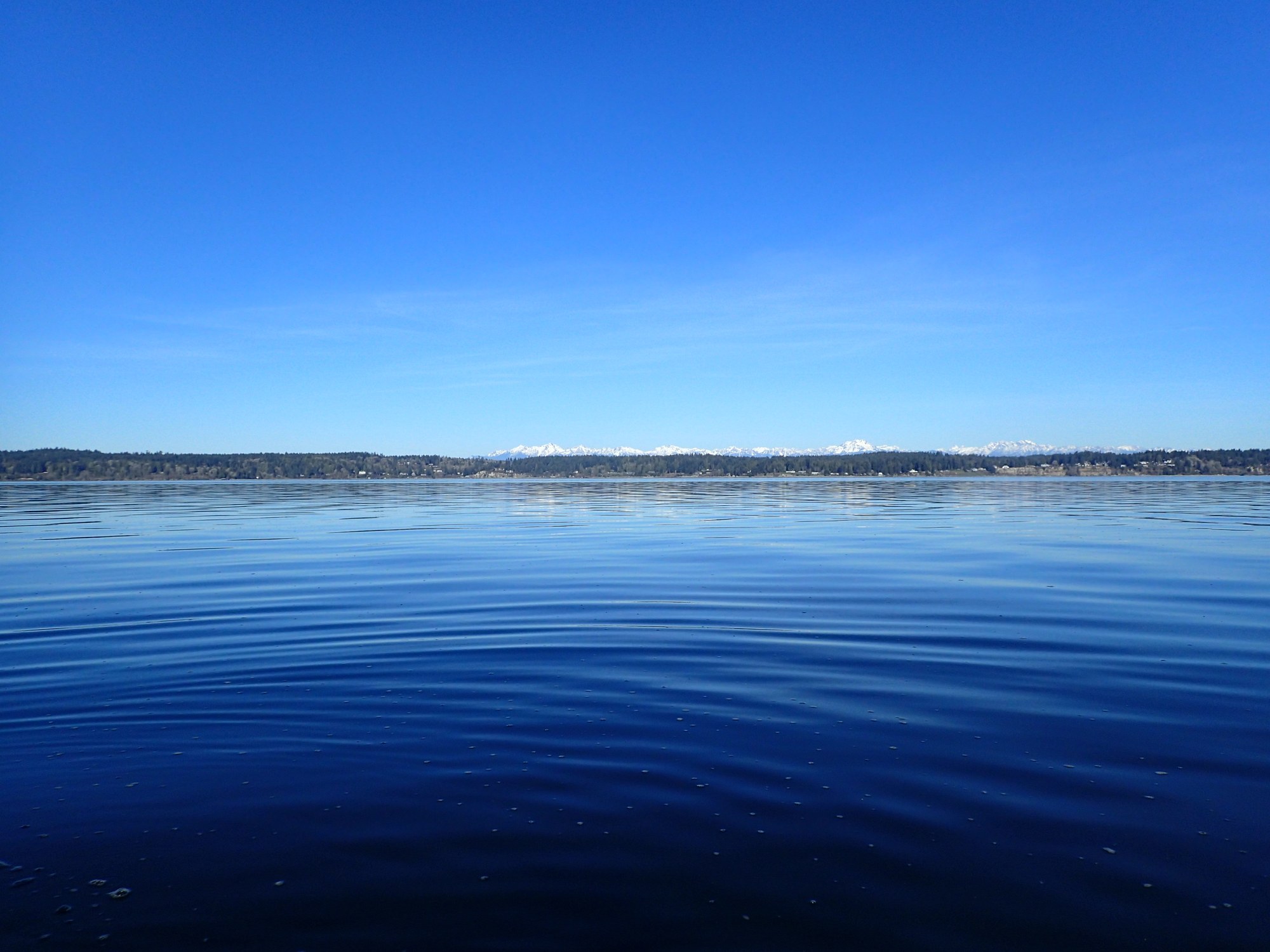 Sea Kayak - Carr Inlet — The Mountaineers