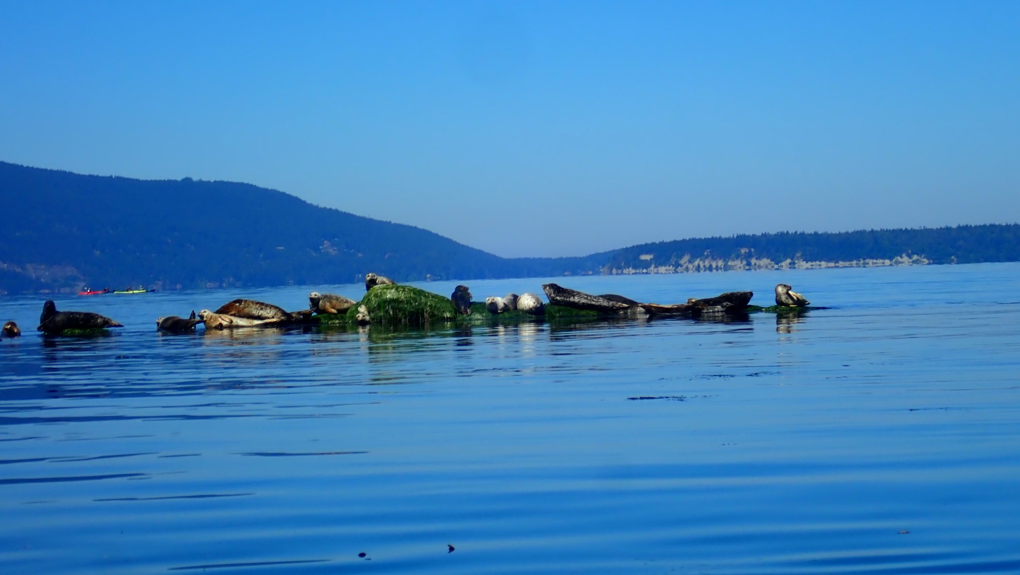 Sea Kayak - Chuckanut Bay — The Mountaineers
