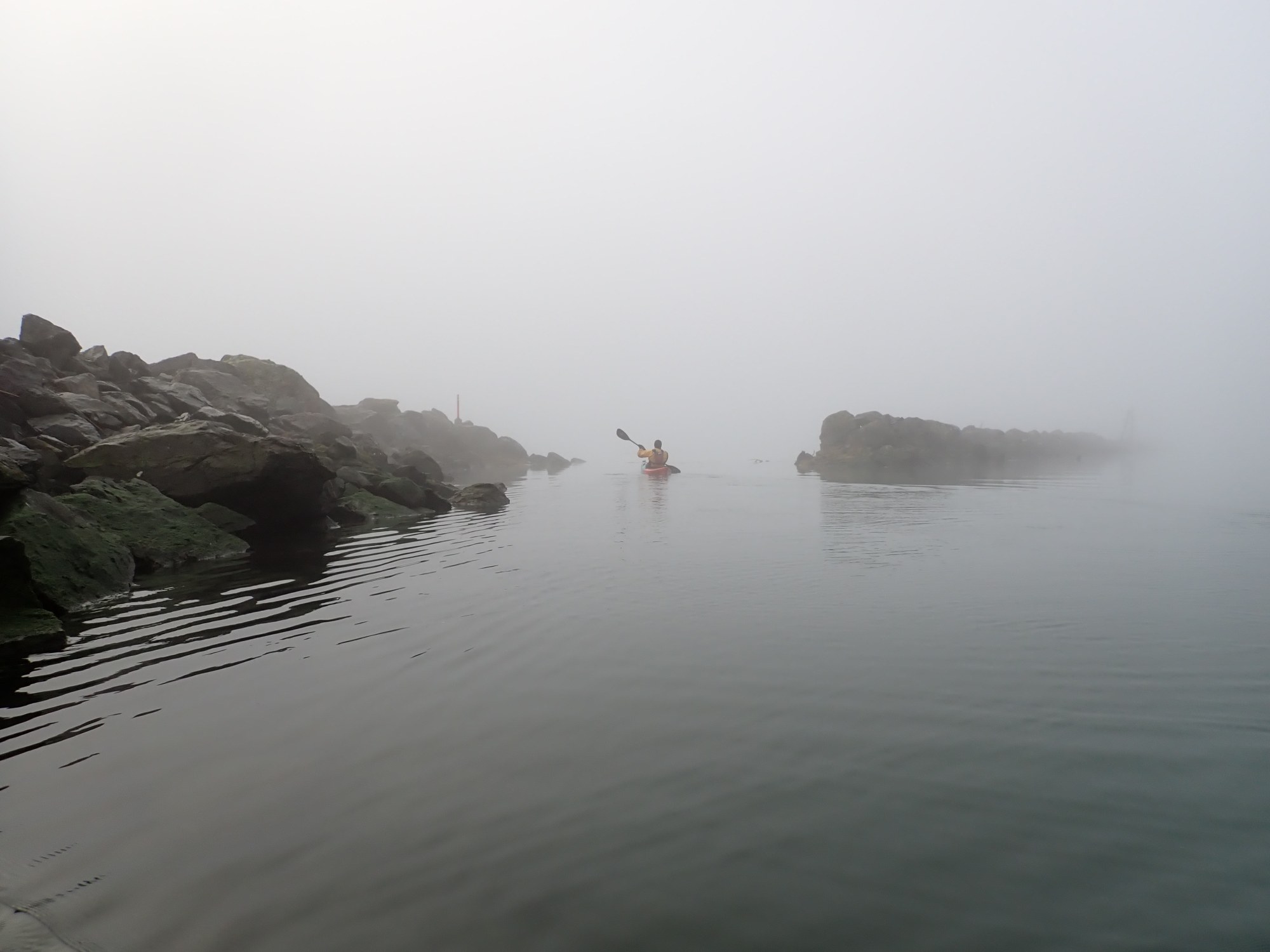 Sea Kayak - Exploration of the western part of the Skagit Estuary ...