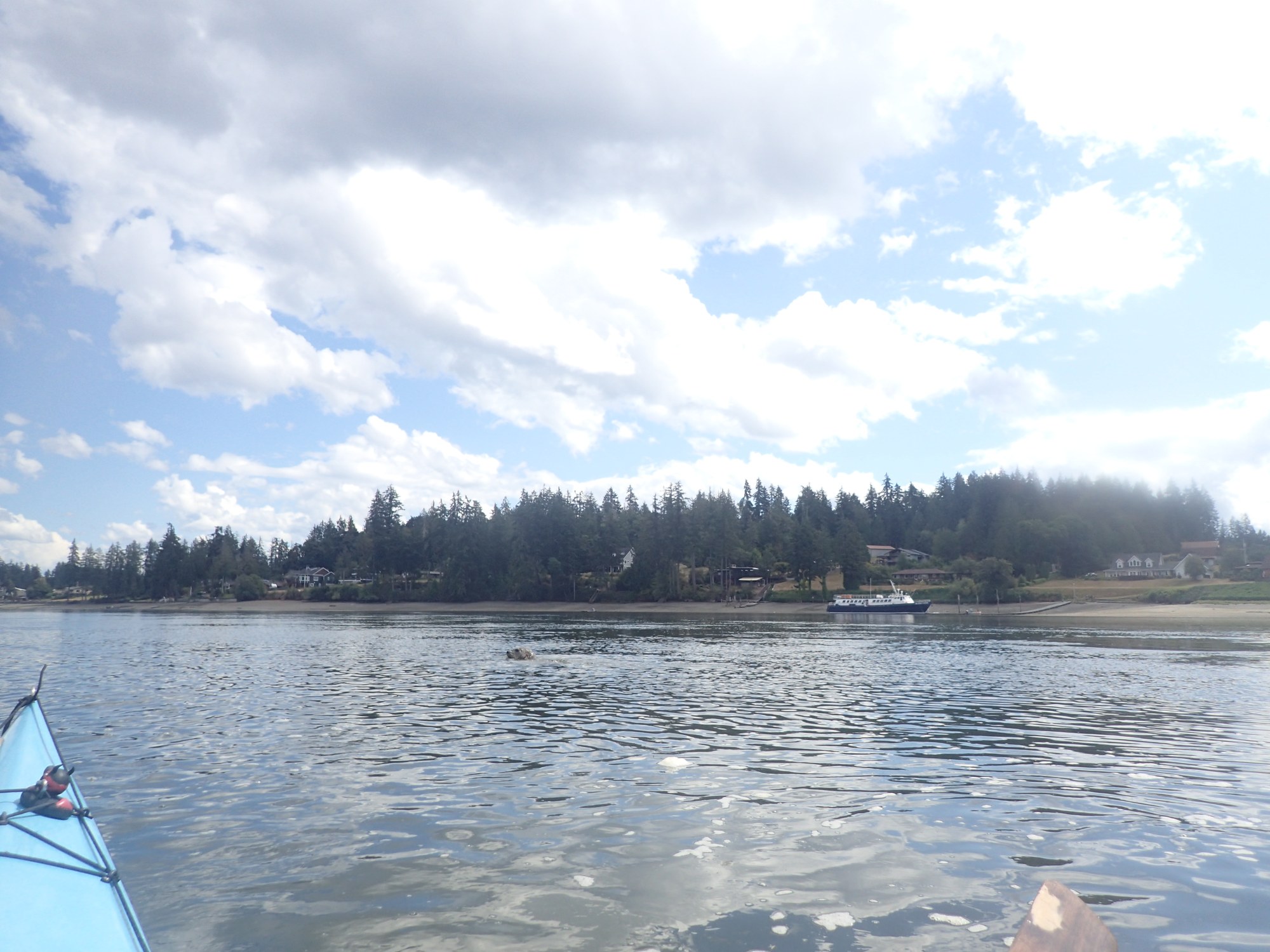 Sea Kayak - Hammersley Inlet — The Mountaineers