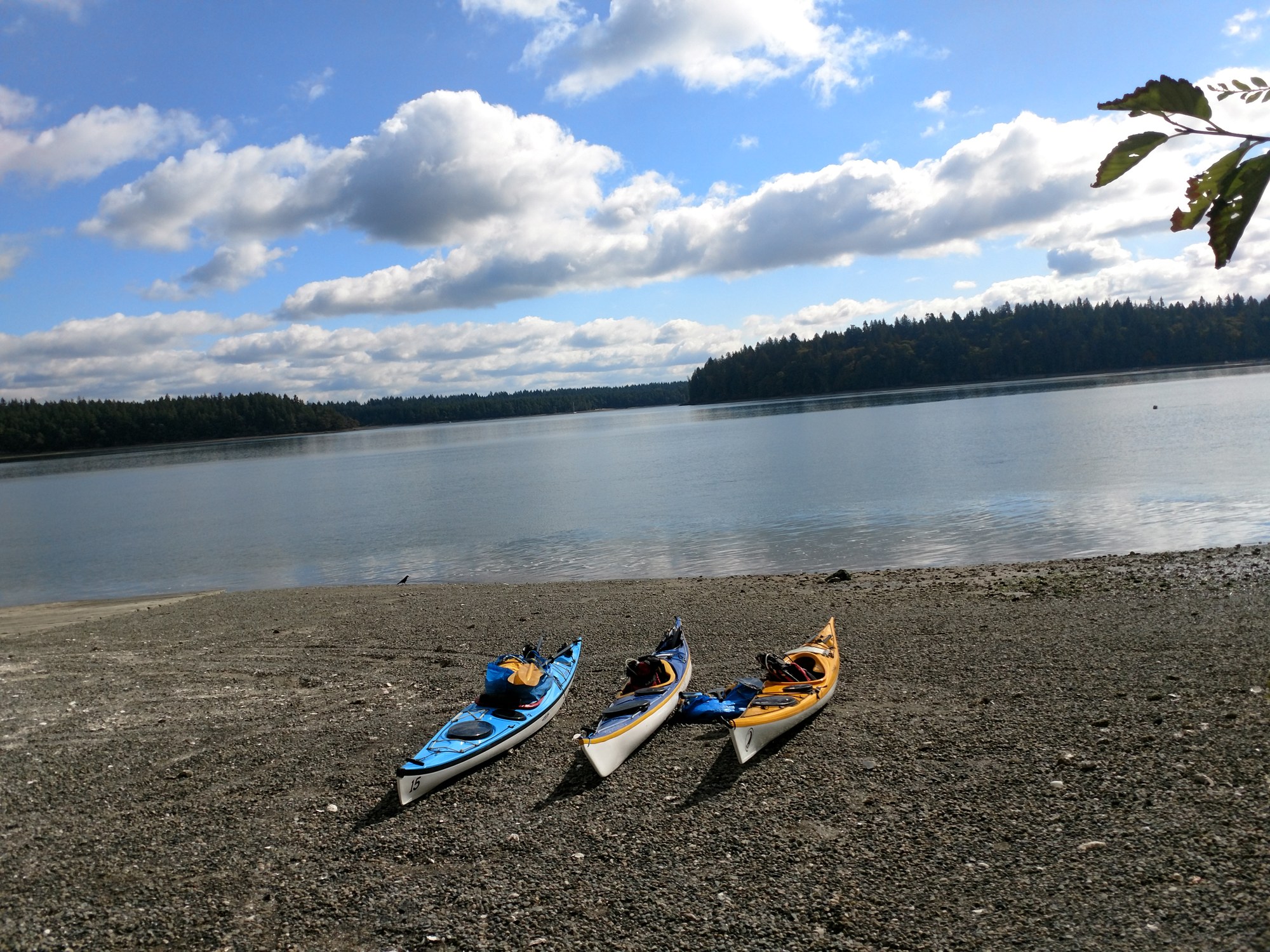 Sea Kayak - Totten Inlet — The Mountaineers