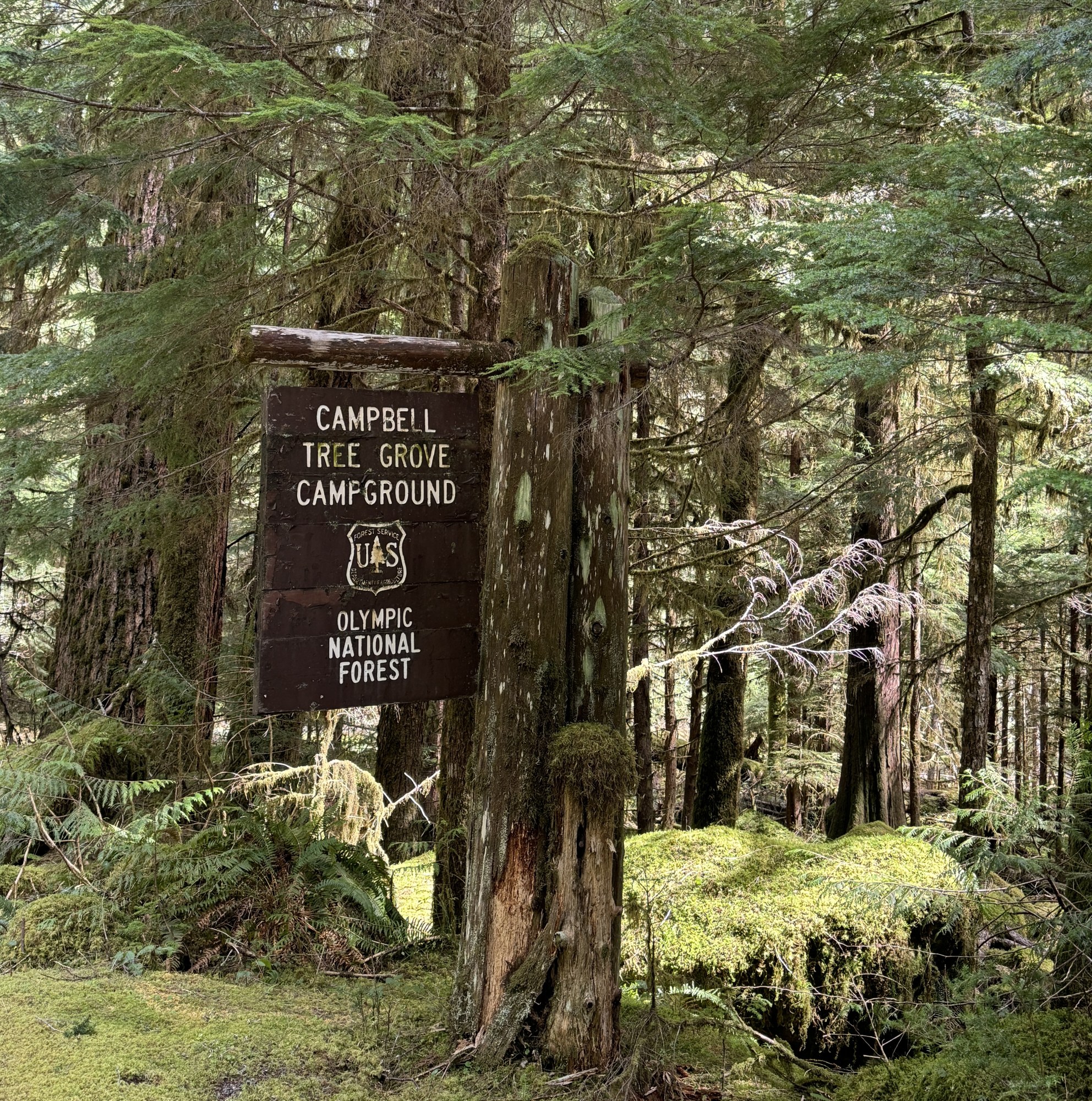 Stewardship - West Fork Humptulips River — The Mountaineers