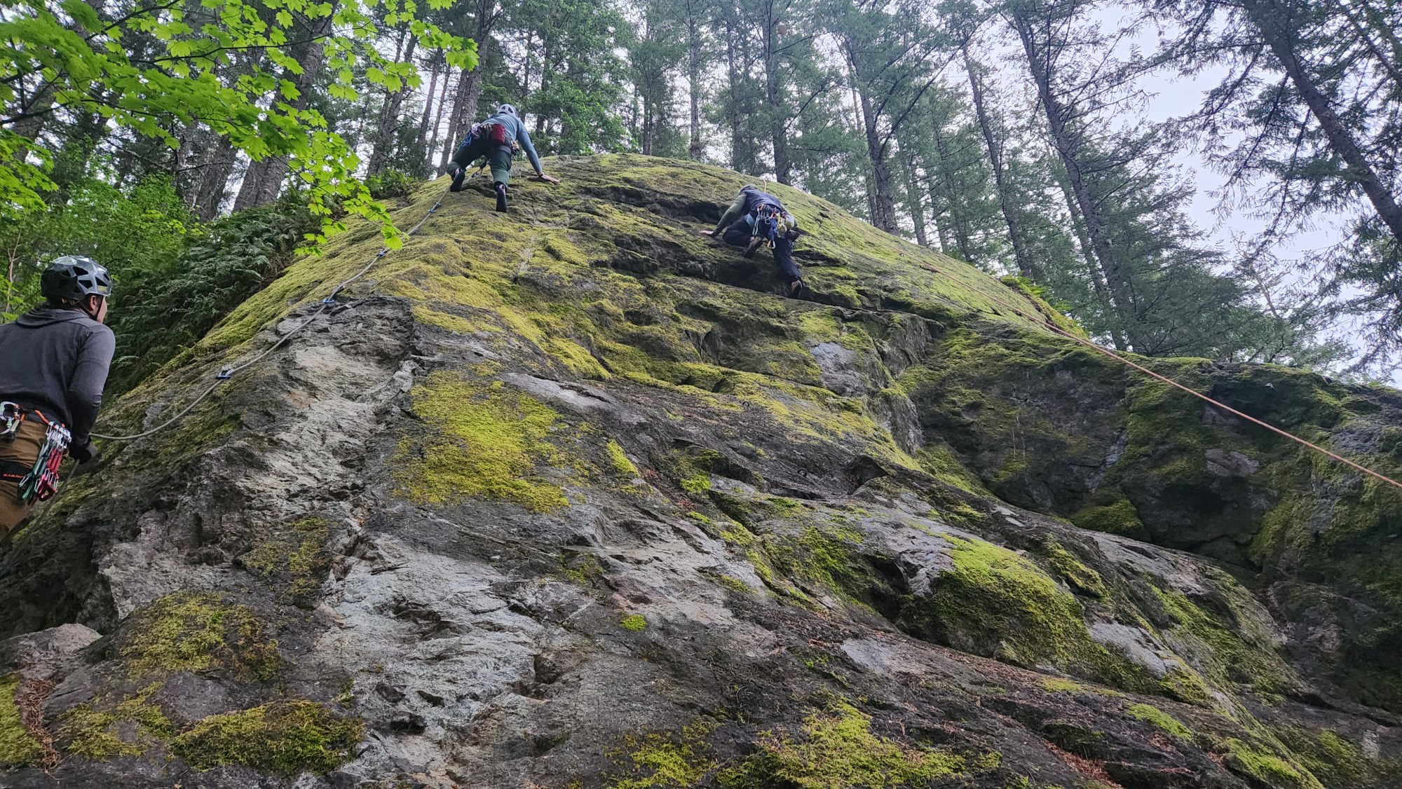 Top Rope Rock Climb - Exit 32 - Family Wall — The Mountaineers