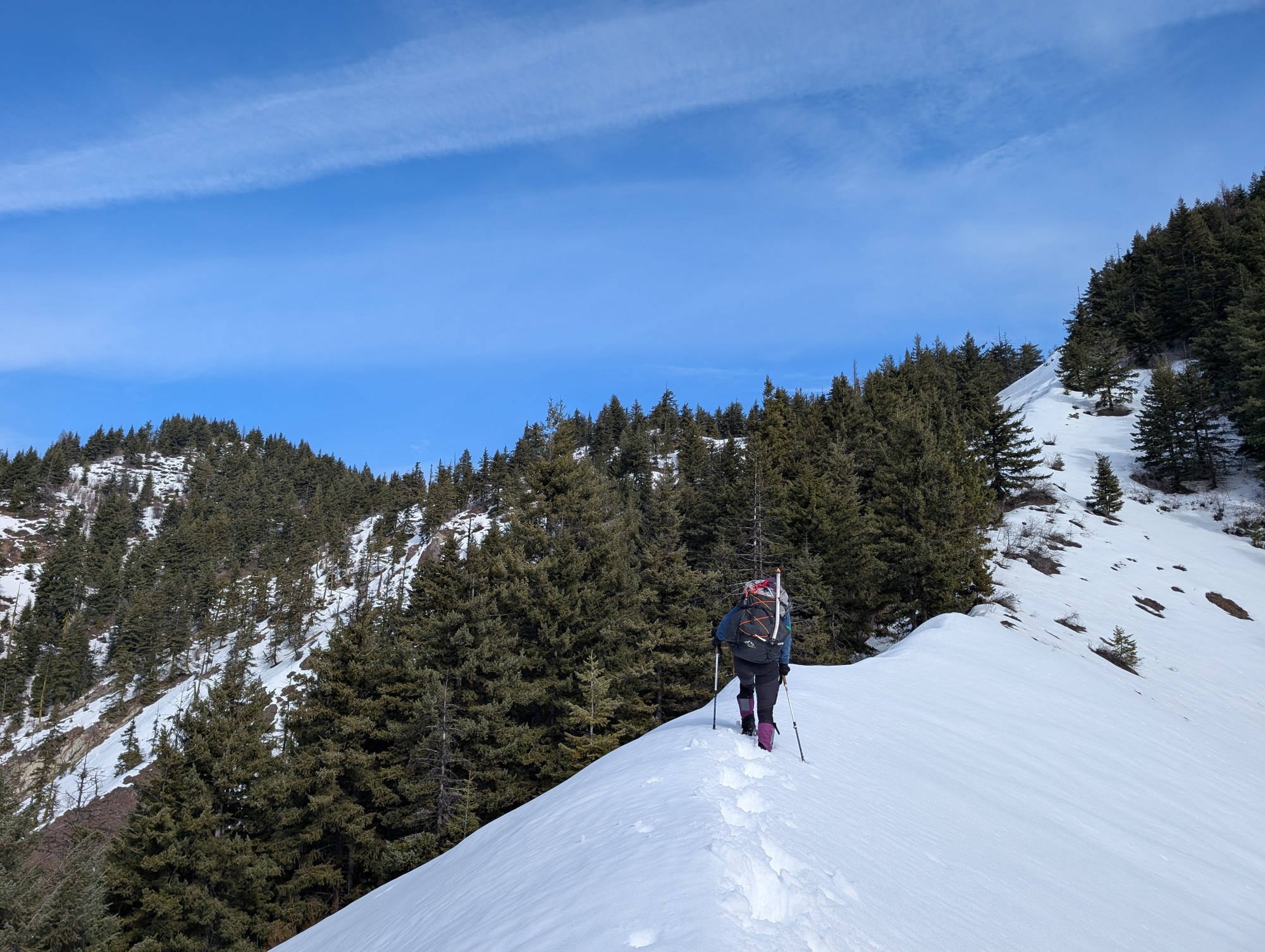 Winter Scramble - Bearjack Ridge East Peak — The Mountaineers