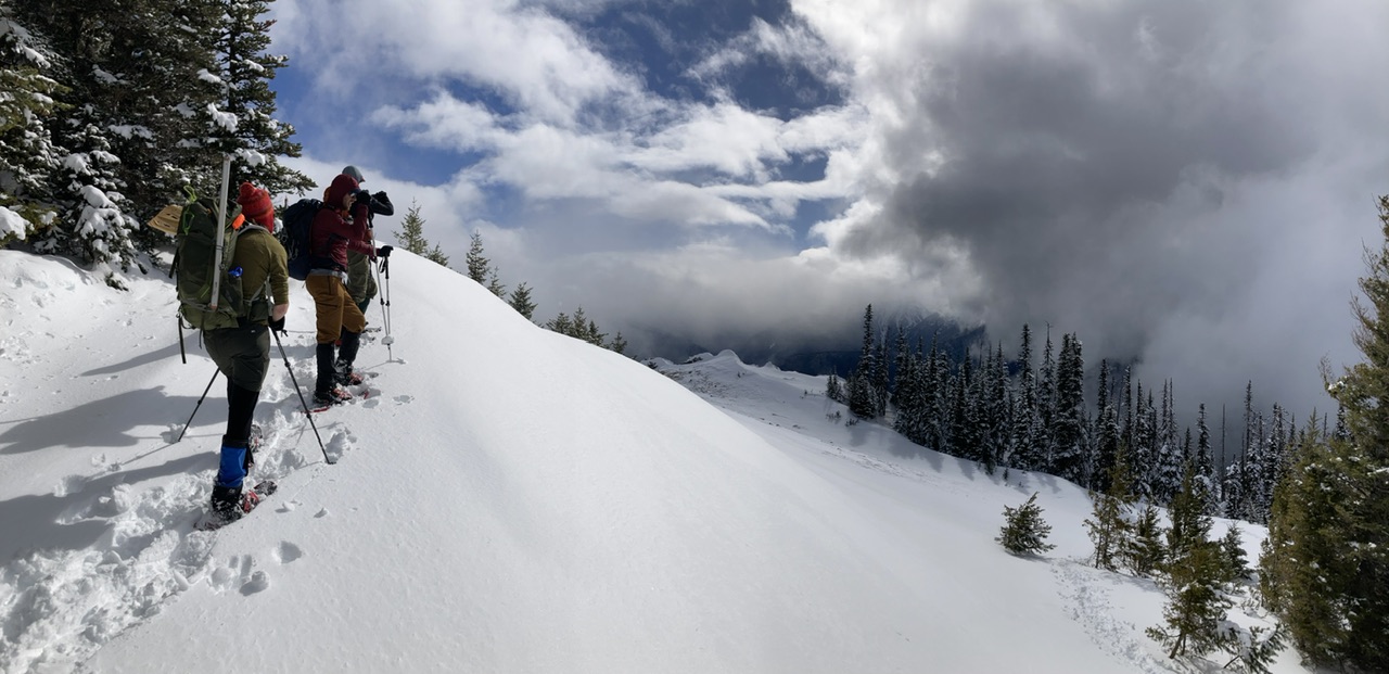 Winter Scramble - Elwha to West Hurricane Hill — The Mountaineers