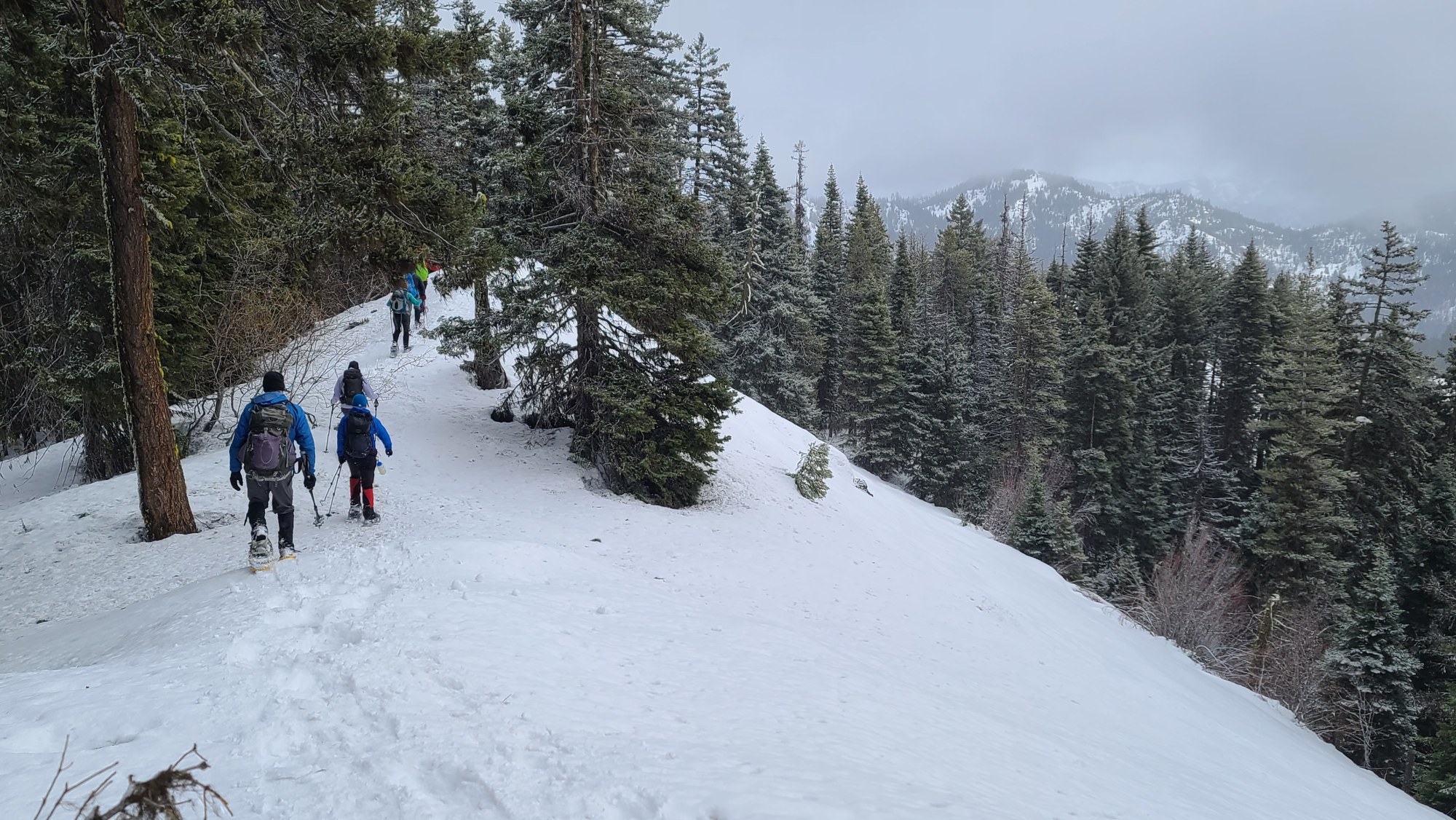 Winter Scramble - Teanaway Ridge Loop — The Mountaineers