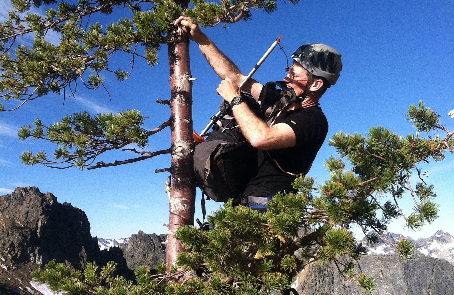 10 Essential Questions: Bill Ashby — The Mountaineers