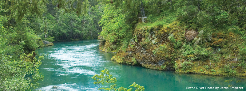 A Big Day for Elwha River Restoration — The Mountaineers