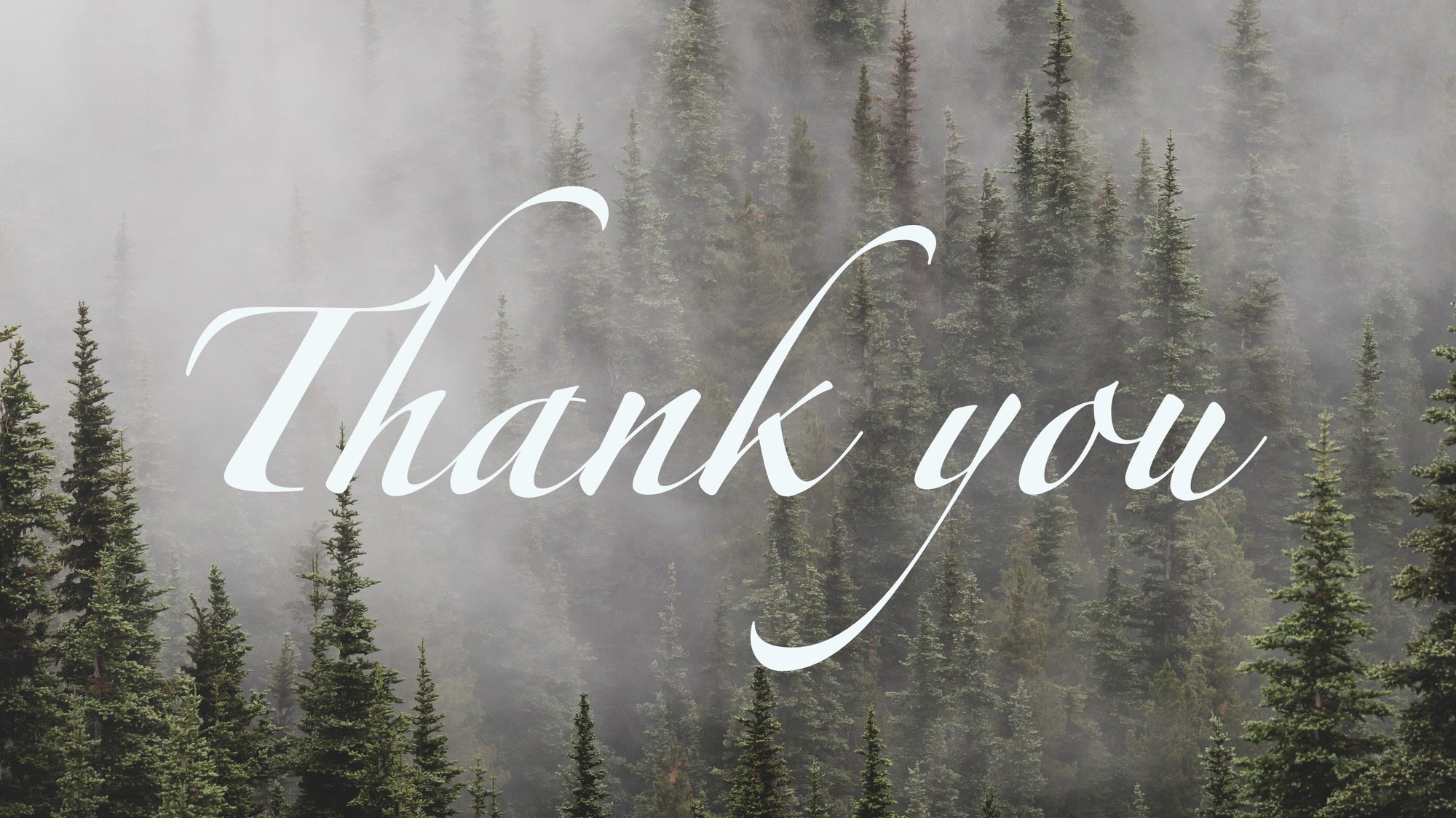 A Letter of Gratitude from the Publisher — The Mountaineers