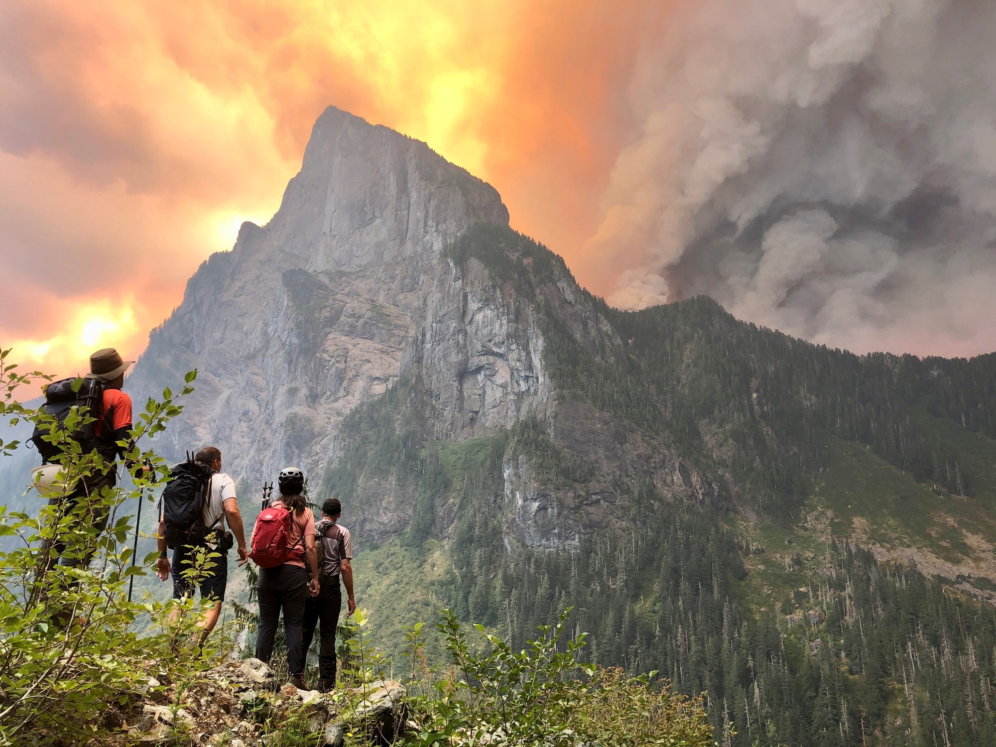 Action Alert! Take Action for Wildfire Response and Resiliency — The ...