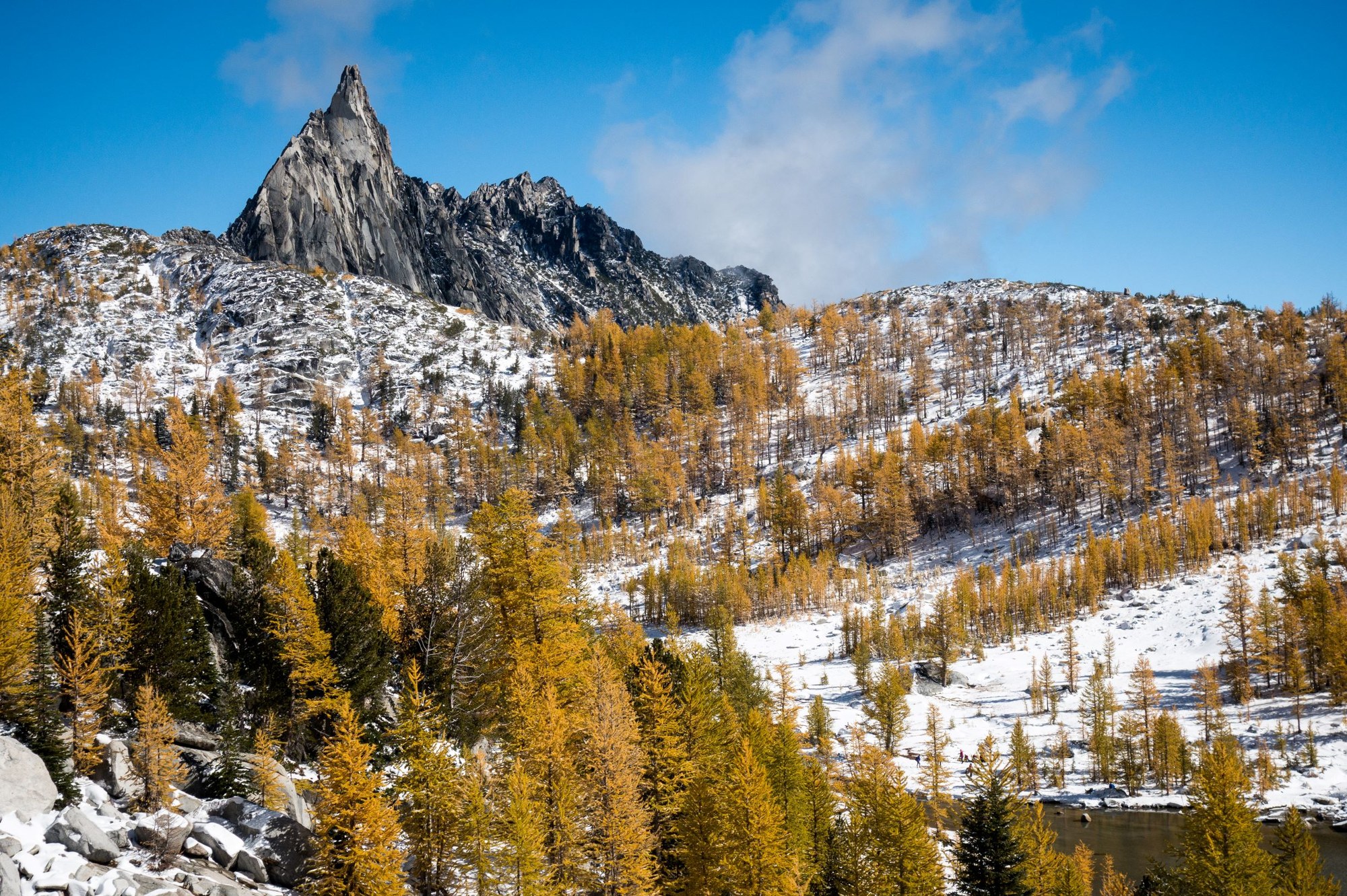 Board Policy Update Project 2019 — The Mountaineers