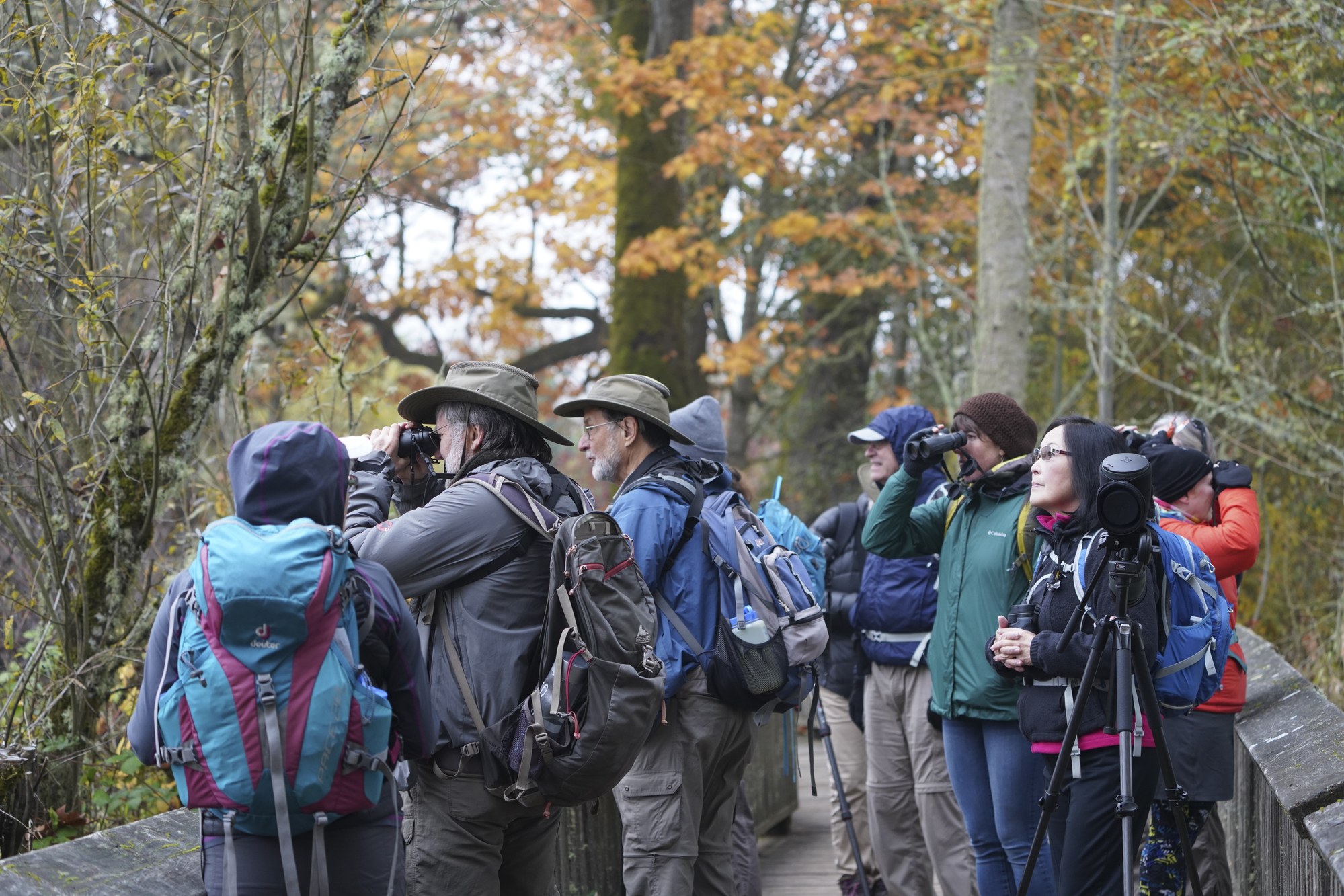 Did You Know? Birding Basics: Start a Lifelong Journey of Bird Watching ...
