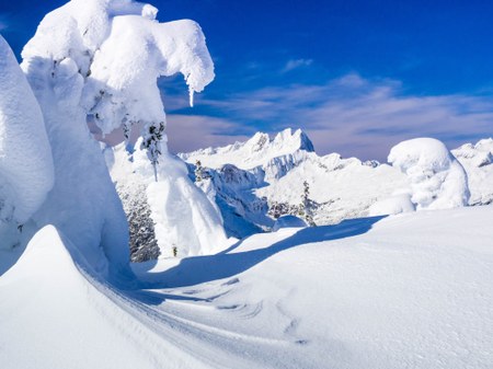 Did You Know? | Snow Facts — The Mountaineers