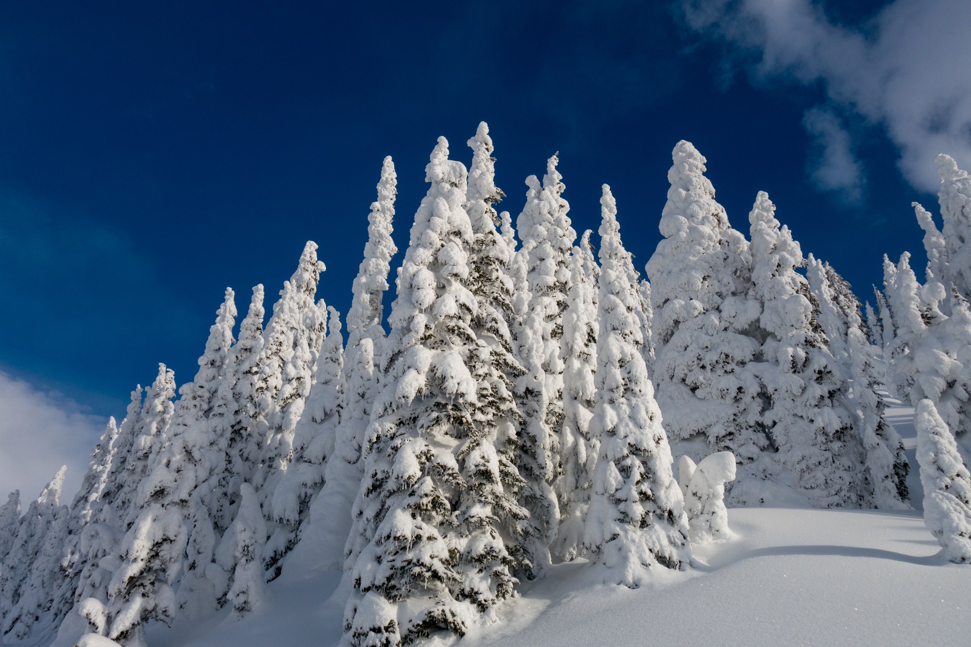 Did You Know? The Sound of Silence: Why Snow Brings Quiet — The ...