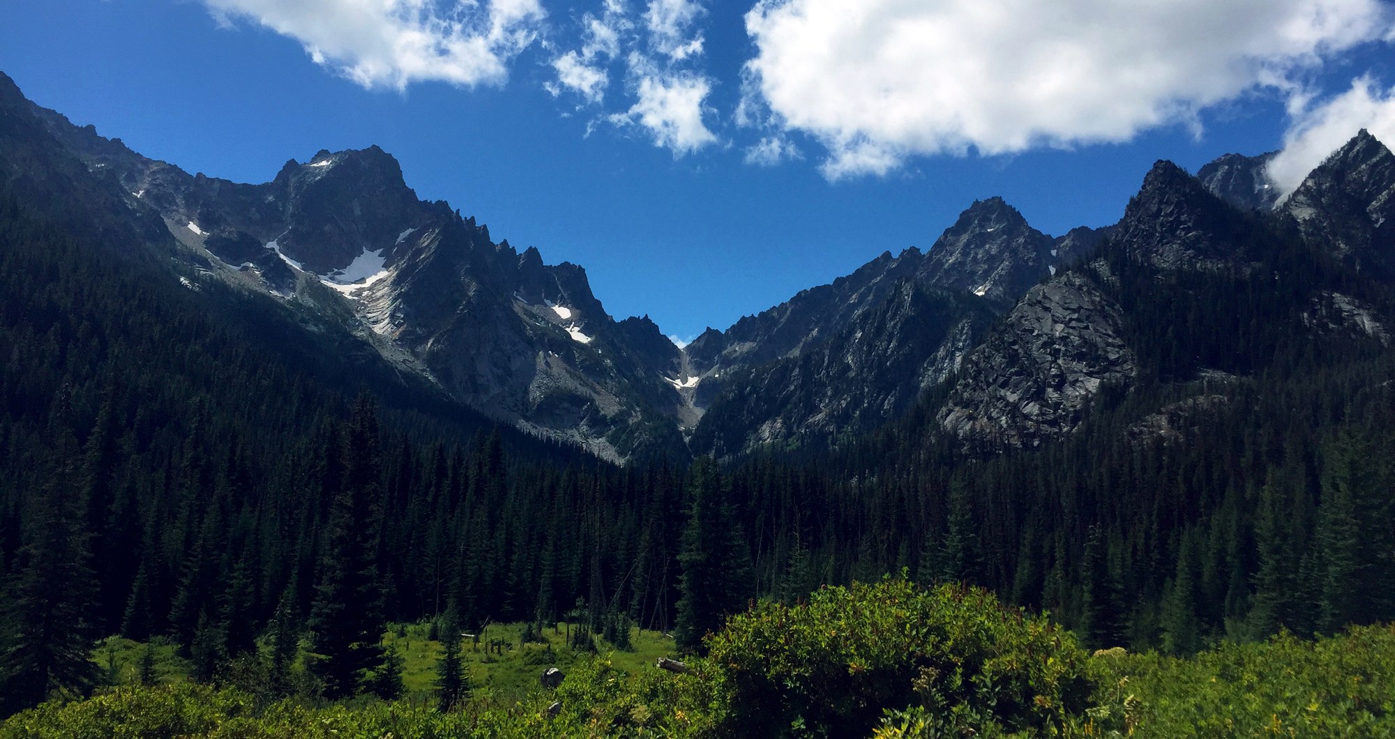 Gnar Face: A Slip on Aasgard Pass — The Mountaineers