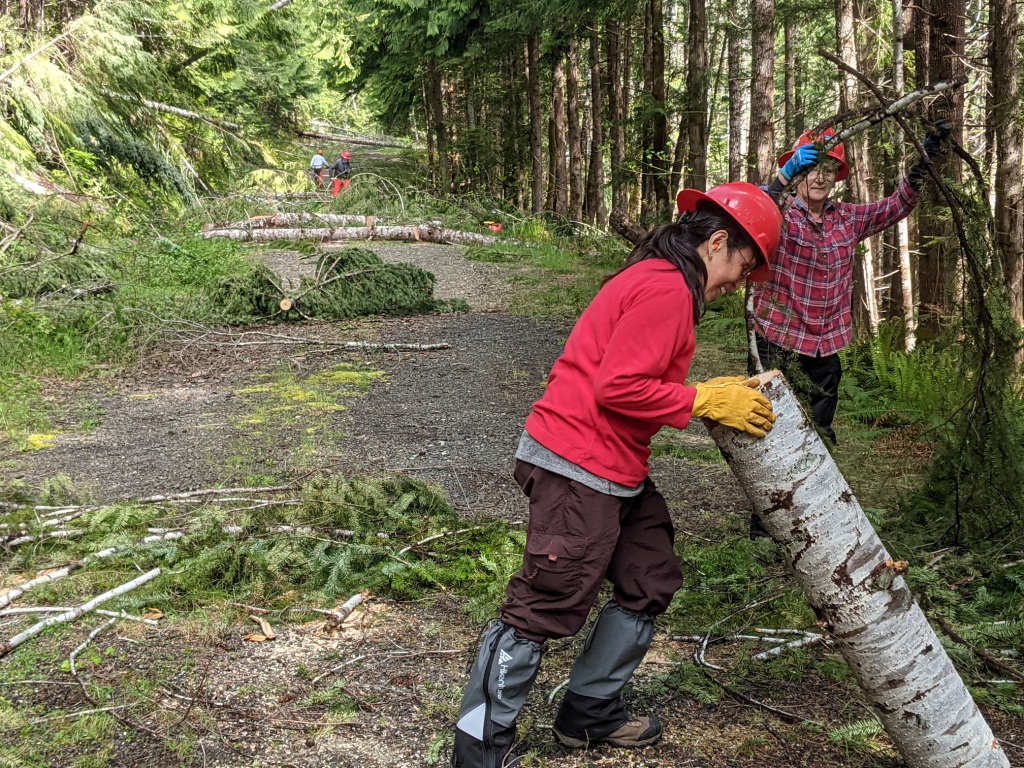 How to Lead a Stewardship Activity — The Mountaineers