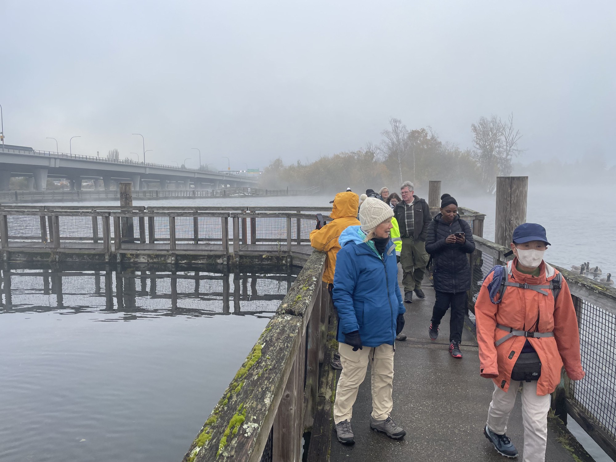 Join the Seattle Urban Walk Committee — The Mountaineers