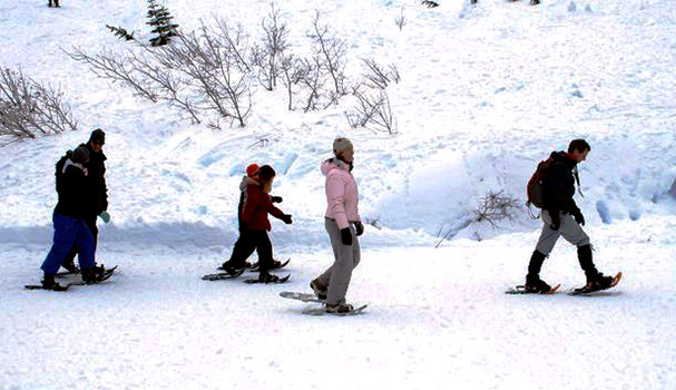 Meany Lodge Committee Positions Open + Snow Cat Transport — The ...