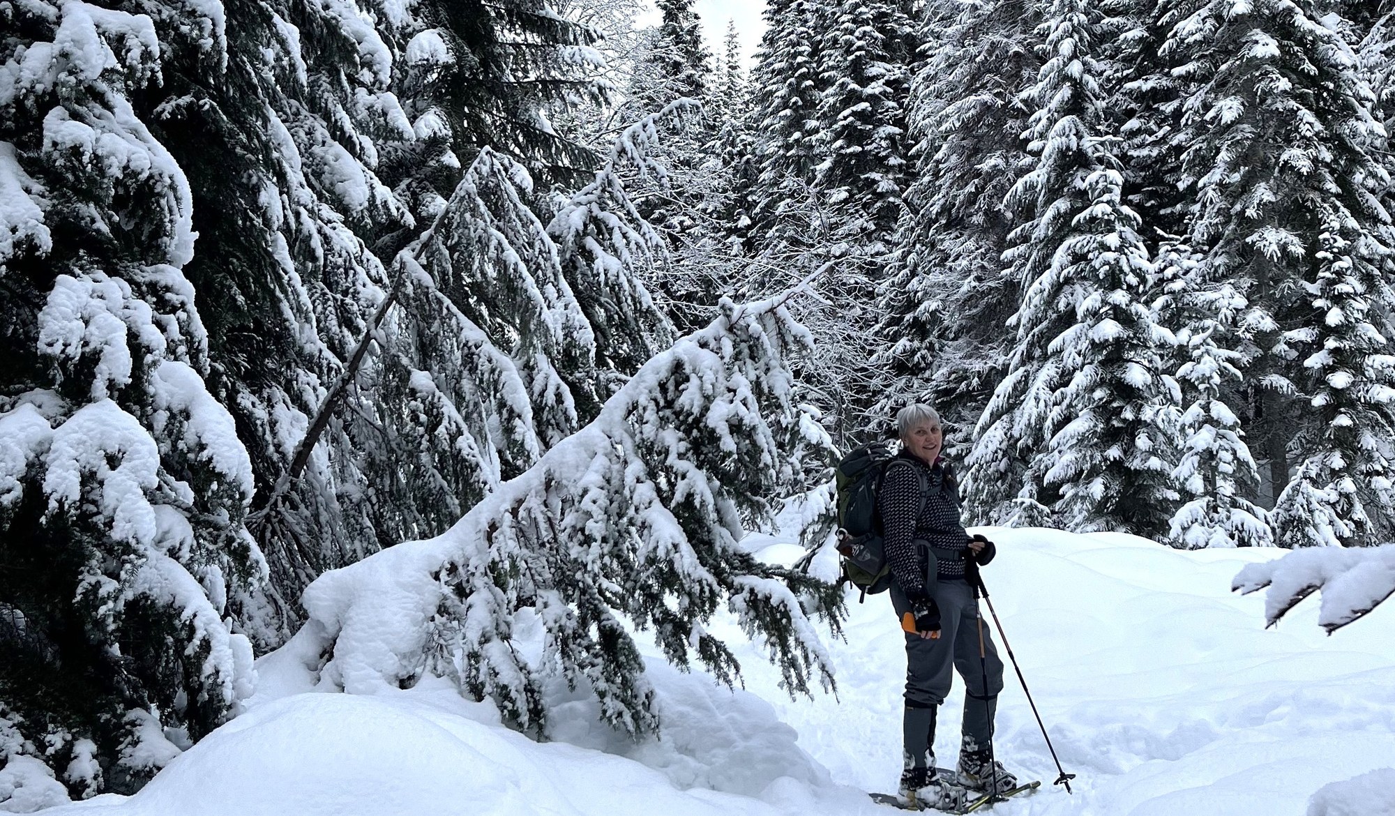Mountaineer of the Week: Terry Newcomb — The Mountaineers