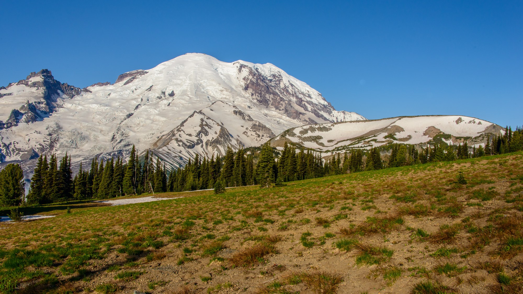 New Course! Mount Rainier: A Place of Joy, Reverence, & Humility — The ...