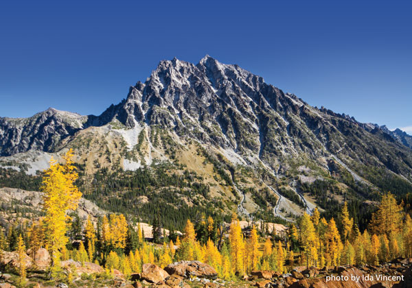 On the West Ridge of Golden Mount Stuart — The Mountaineers