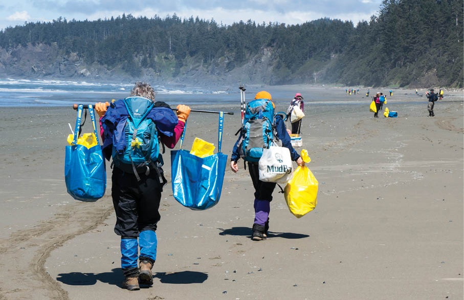 The Big Beach Cleanup — The Mountaineers