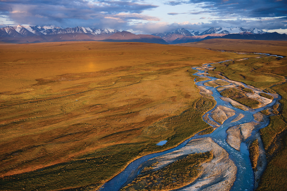 The Braided River Story: Activating Conservation Impact for Public ...