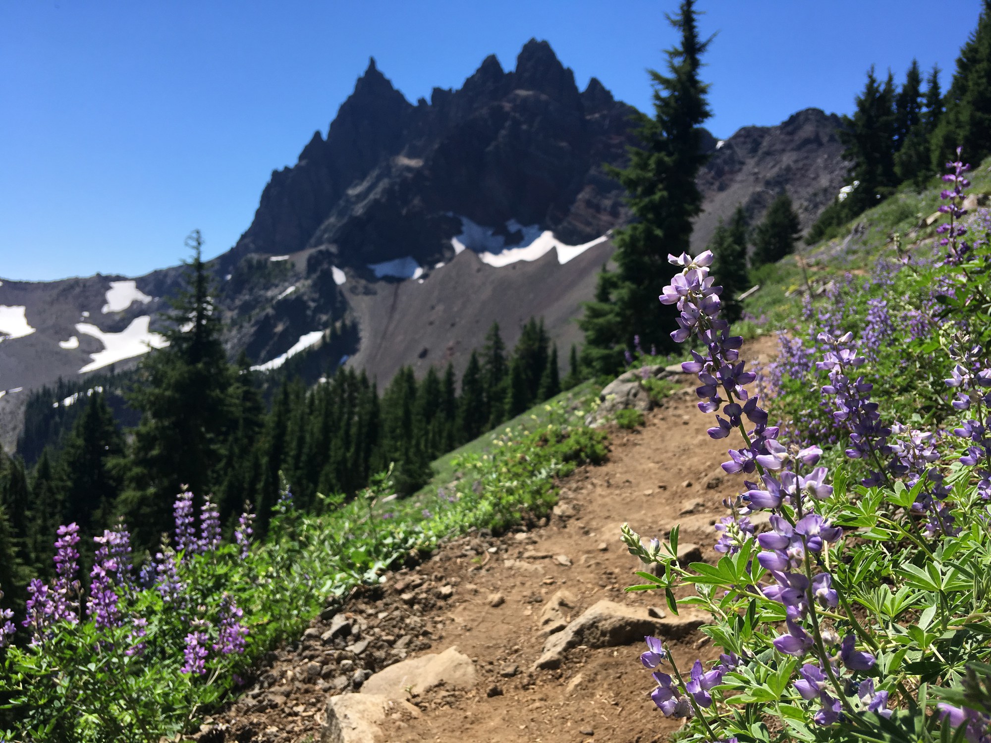 The Many Acronyms of the PCT + How to Hike Your Own Hike — The Mountaineers