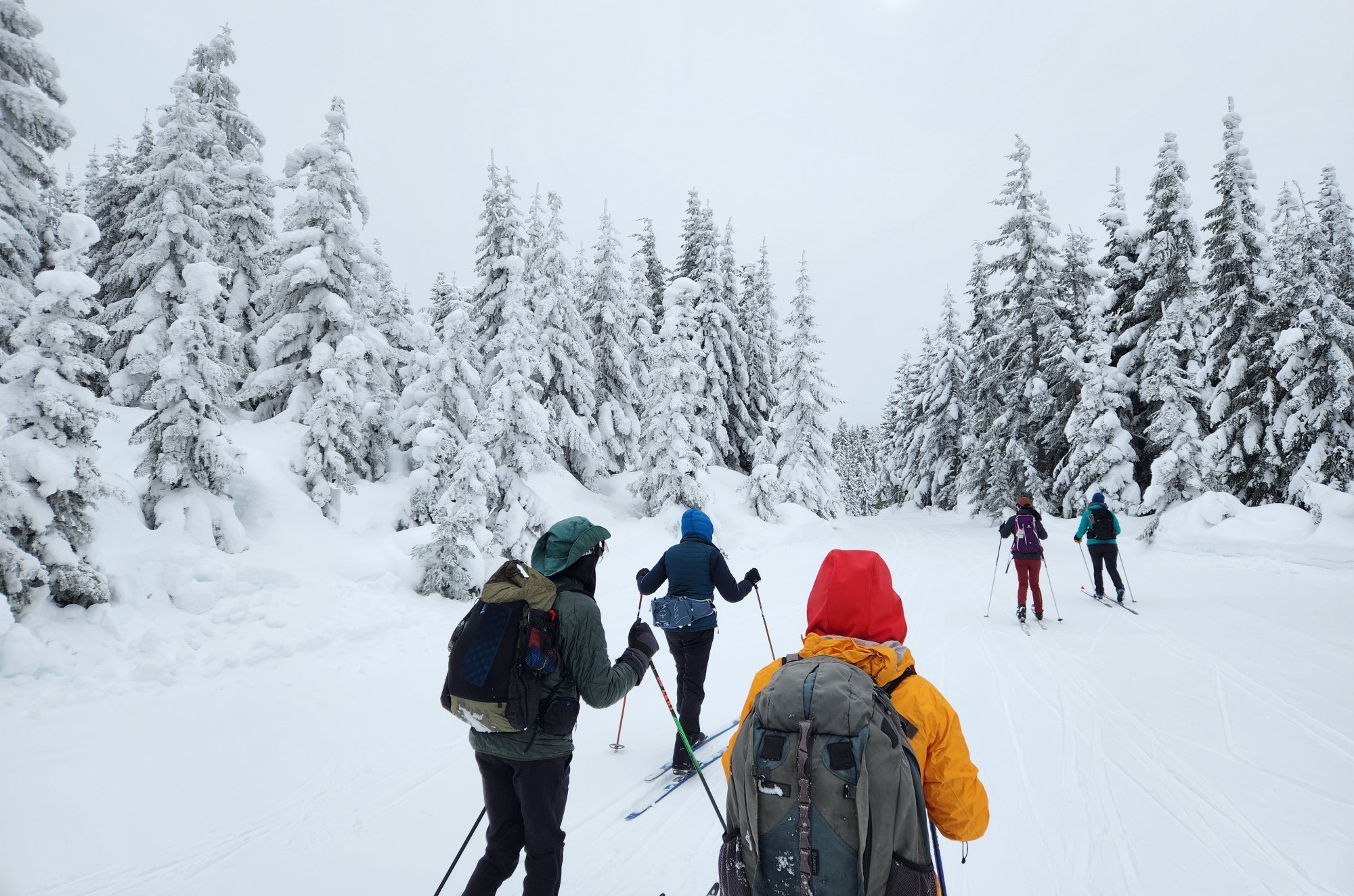 Top 10 Trip Reports - February 2025 — The Mountaineers