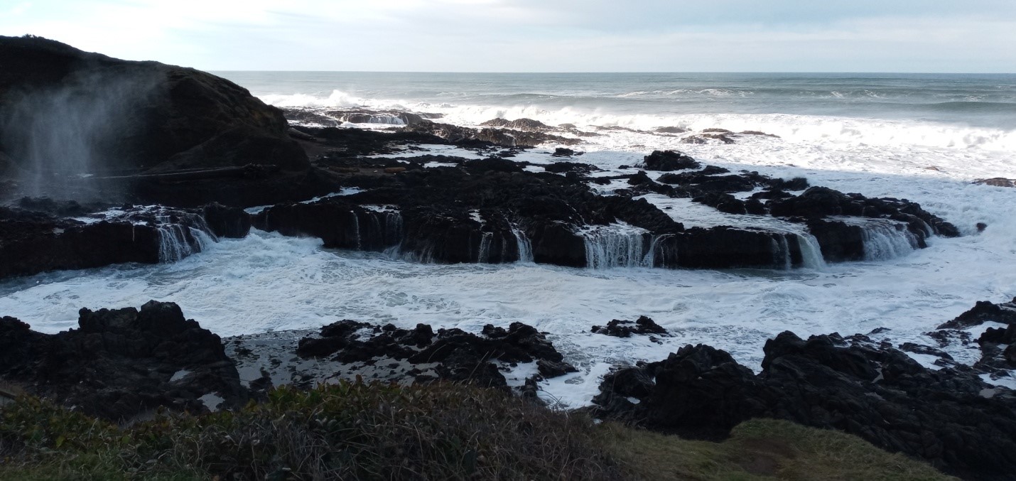 Trip Report: Cape Perpetua — The Mountaineers