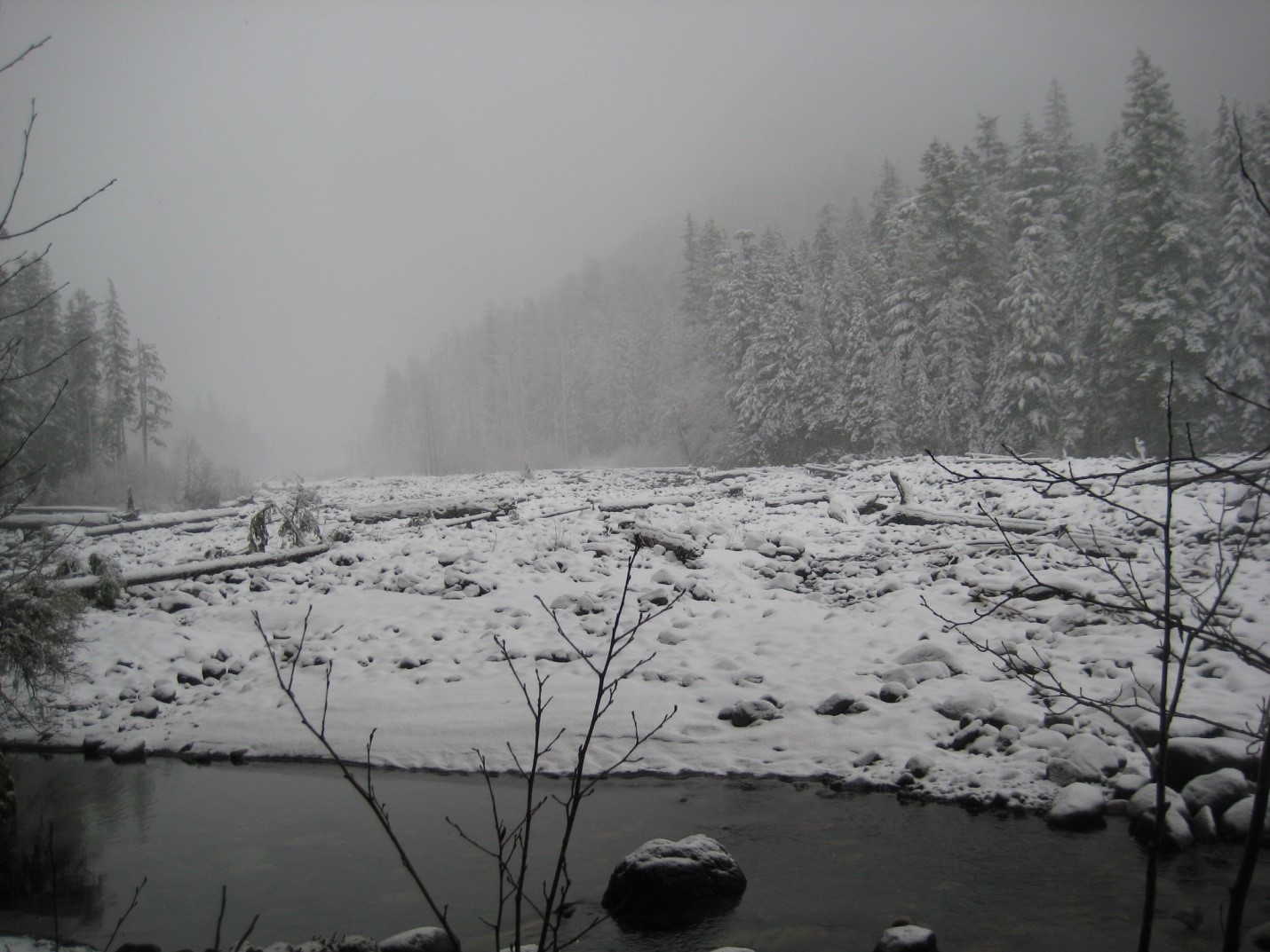 Trip Report: Carter Falls Snowshoe Adventure — The Mountaineers