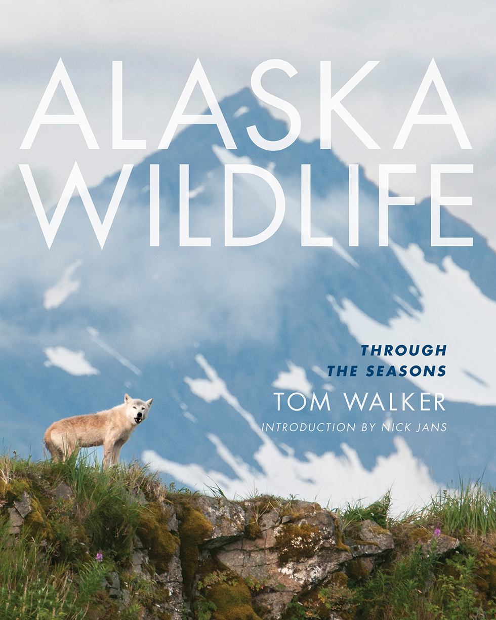 Alaska Wildlife: Through the Seasons — Books