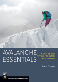 Avalanche Essentials: A Step-by-Step System for Safety and Survival — Books