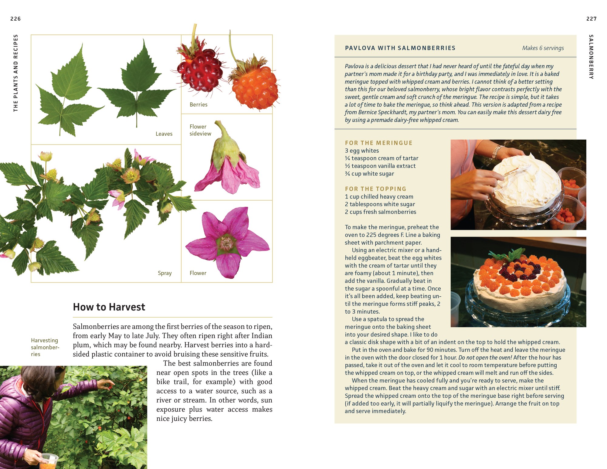 EdiblePlantsPNW_Spreads-6.jpg — Books