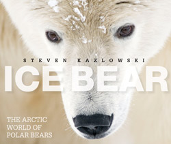Ice Bear: The Arctic World of Polar Bears — Books