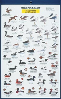 Mac's Field Guides: California Coastal Birds — Books