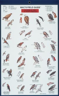 Mac's Field Guides: North American Birds of Prey — Books