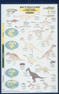 dinosaur identification