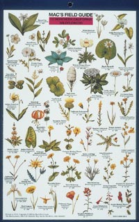 Mac's Field Guides: Northern California Wildflowers — Books